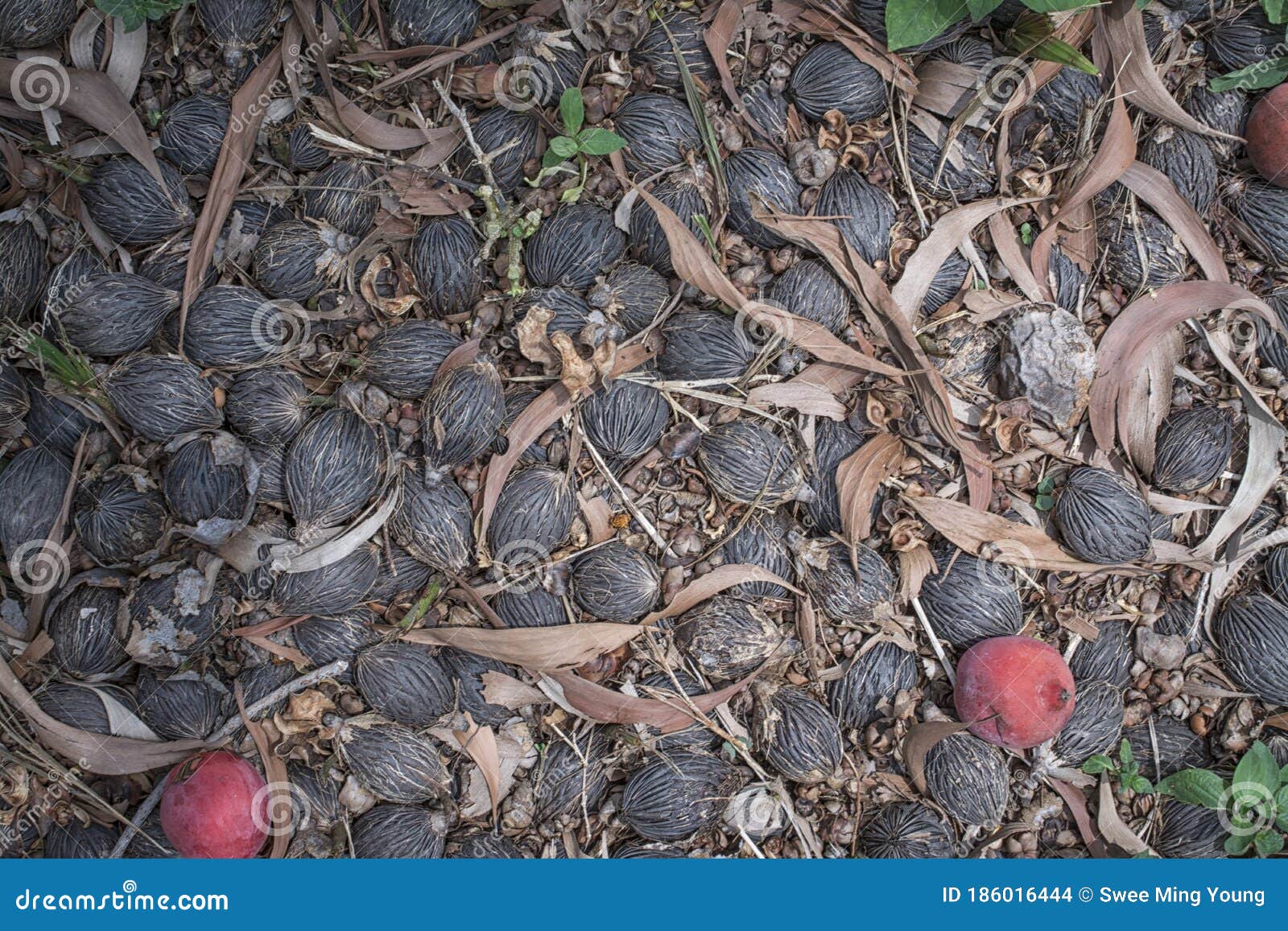 Unique Textures and Backgrounds for Decorative Wallpaper Stock ...