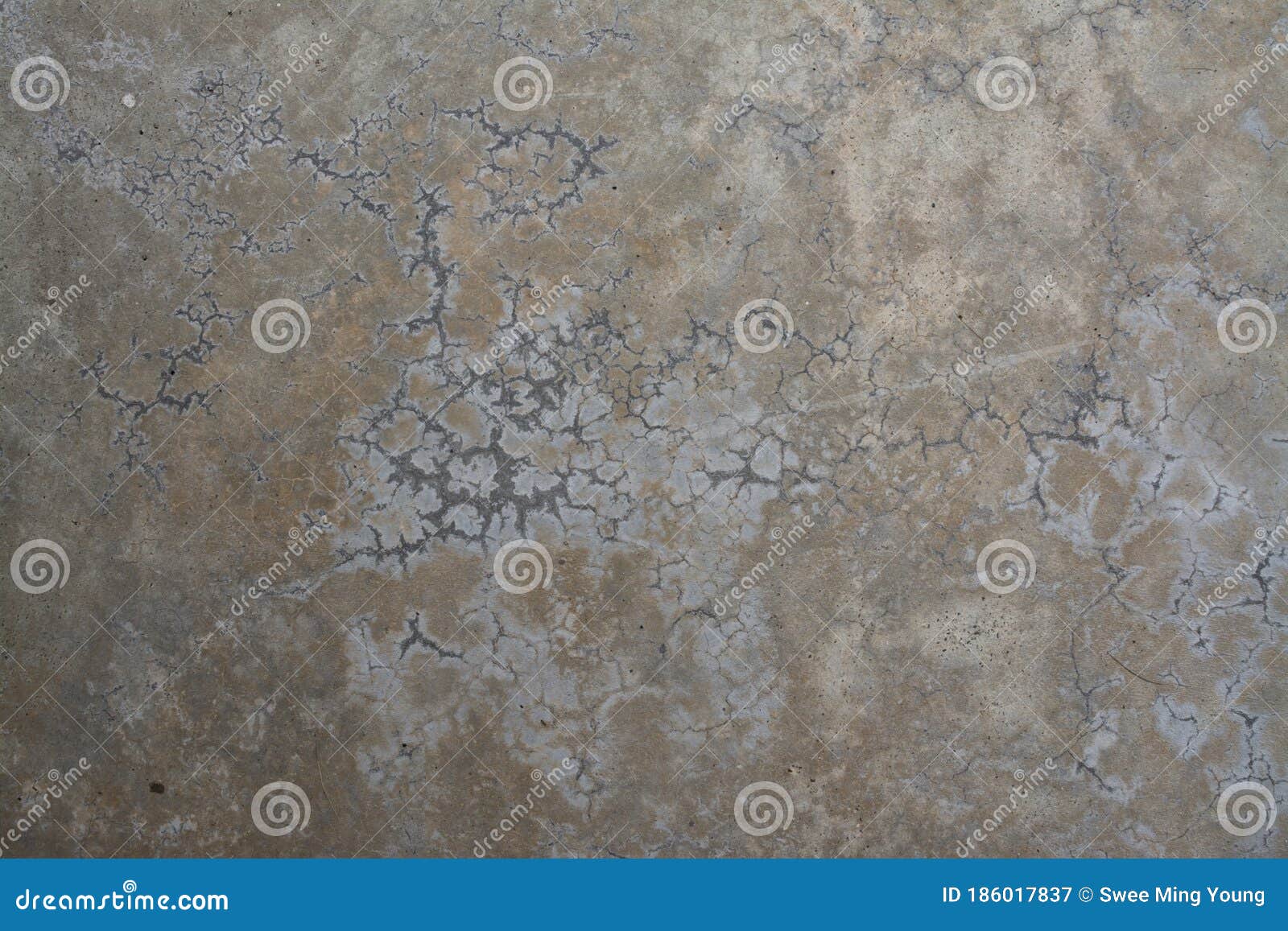 Unique Textures and Backgrounds for Decorative Wallpaper Stock ...