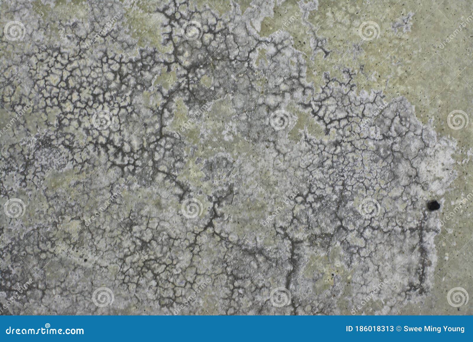 Unique Textures and Backgrounds for Decorative Wallpaper Stock Image ...