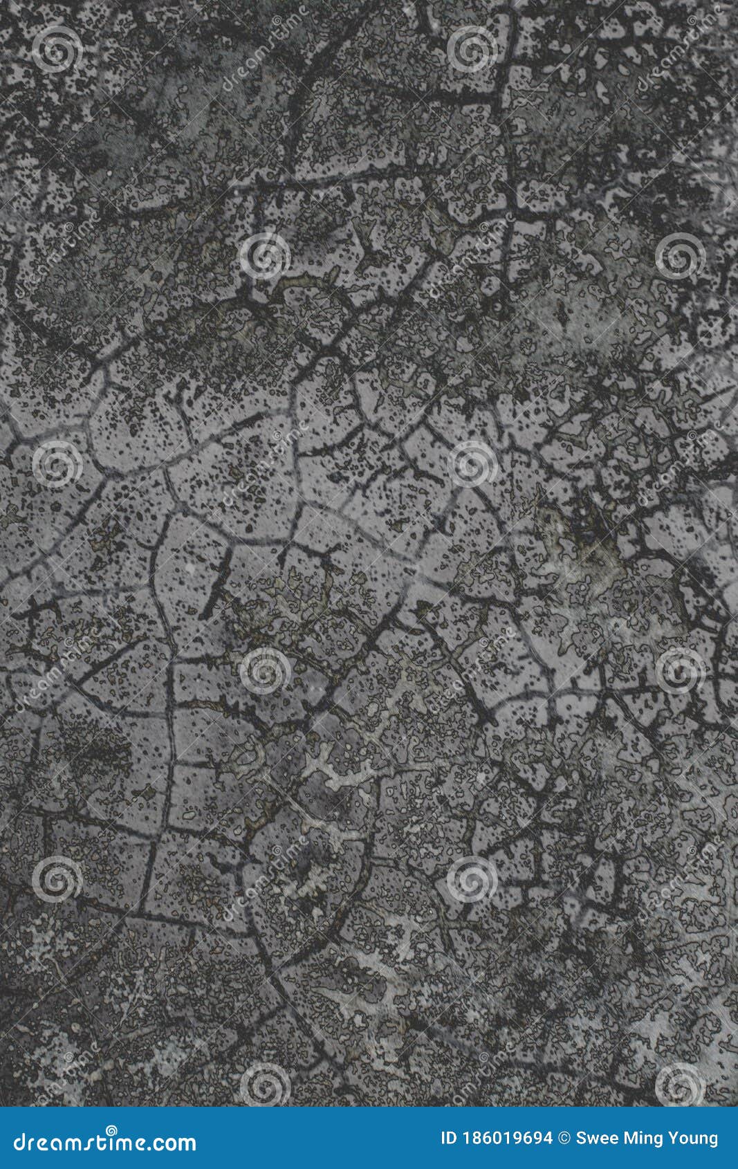 Unique Textures and Backgrounds for Decorative Wallpaper Stock Photo ...