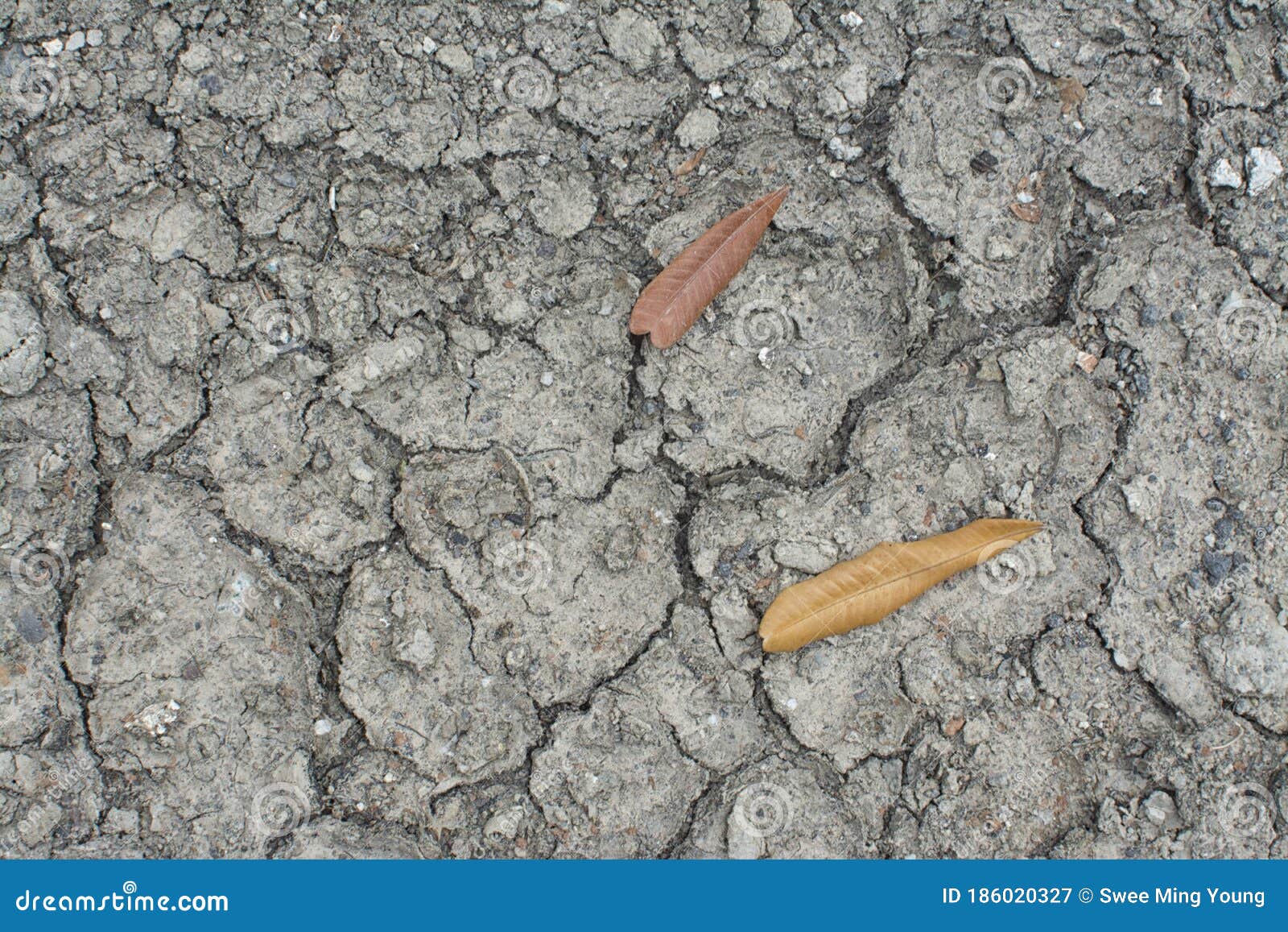 Unique Textures and Backgrounds for Decorative Wallpaper Stock Image ...