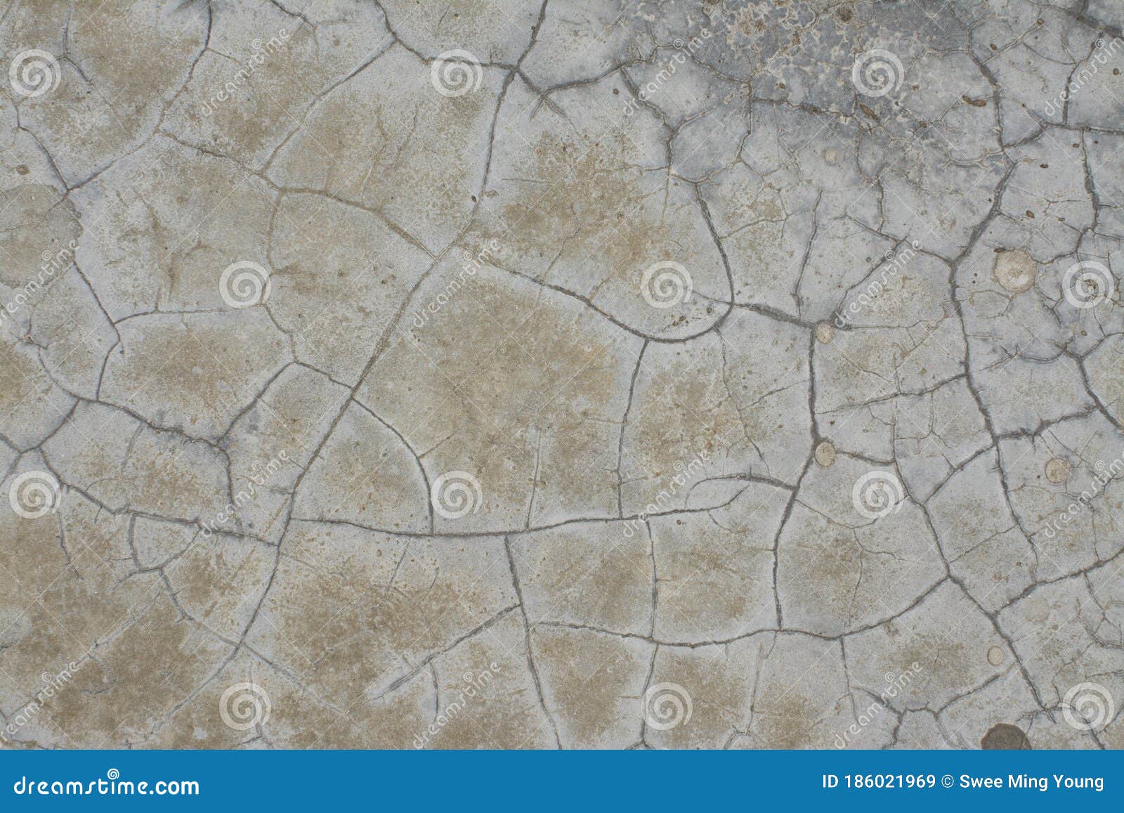 Unique Textures and Backgrounds for Decorative Wallpaper Stock Image ...