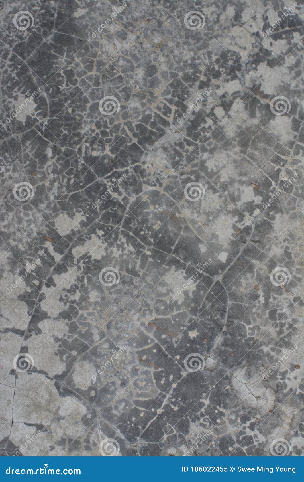 Unique Textures and Backgrounds for Decorative Wallpaper Stock Image ...