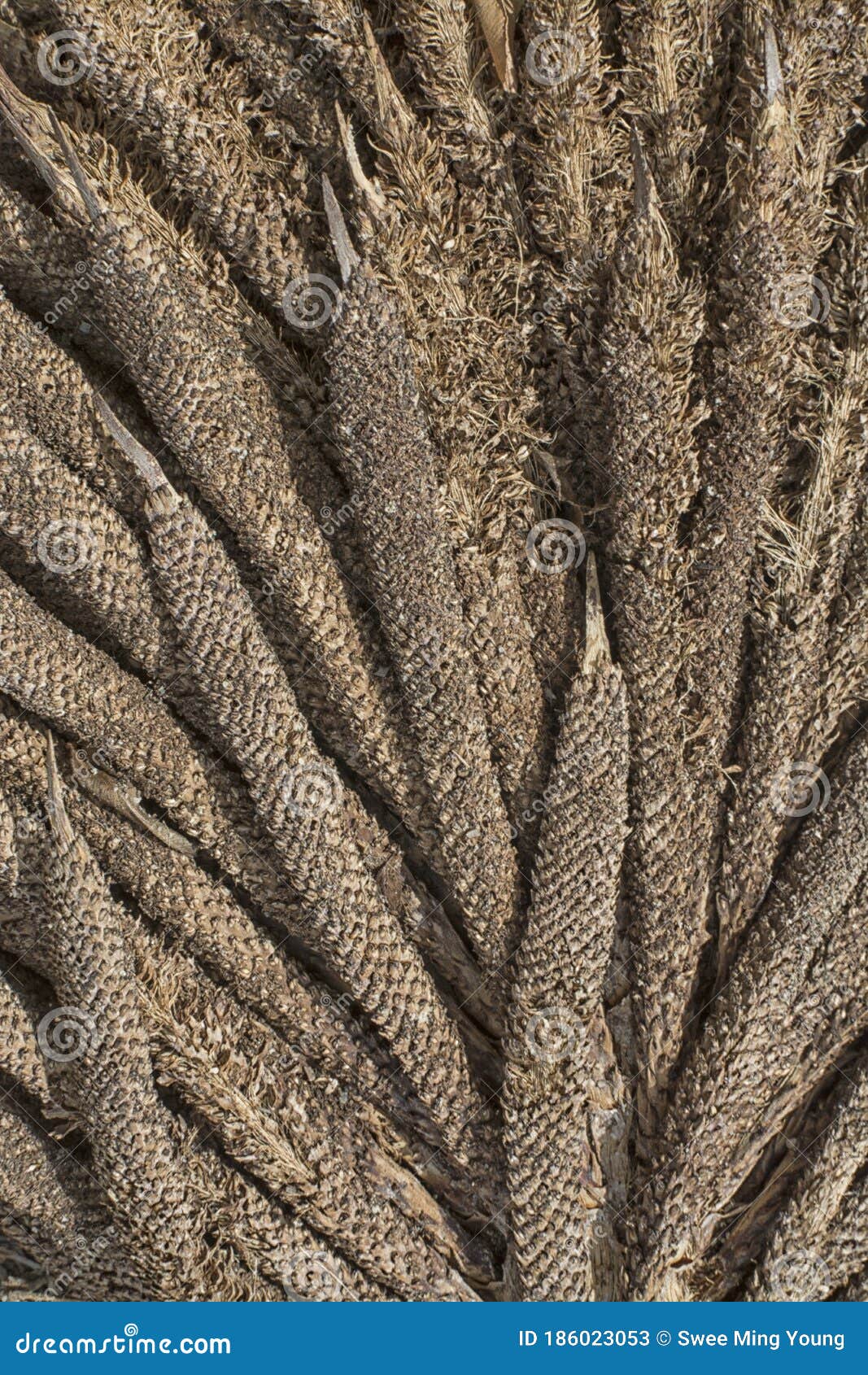 Unique Textures and Backgrounds for Decorative Wallpaper Stock Image ...