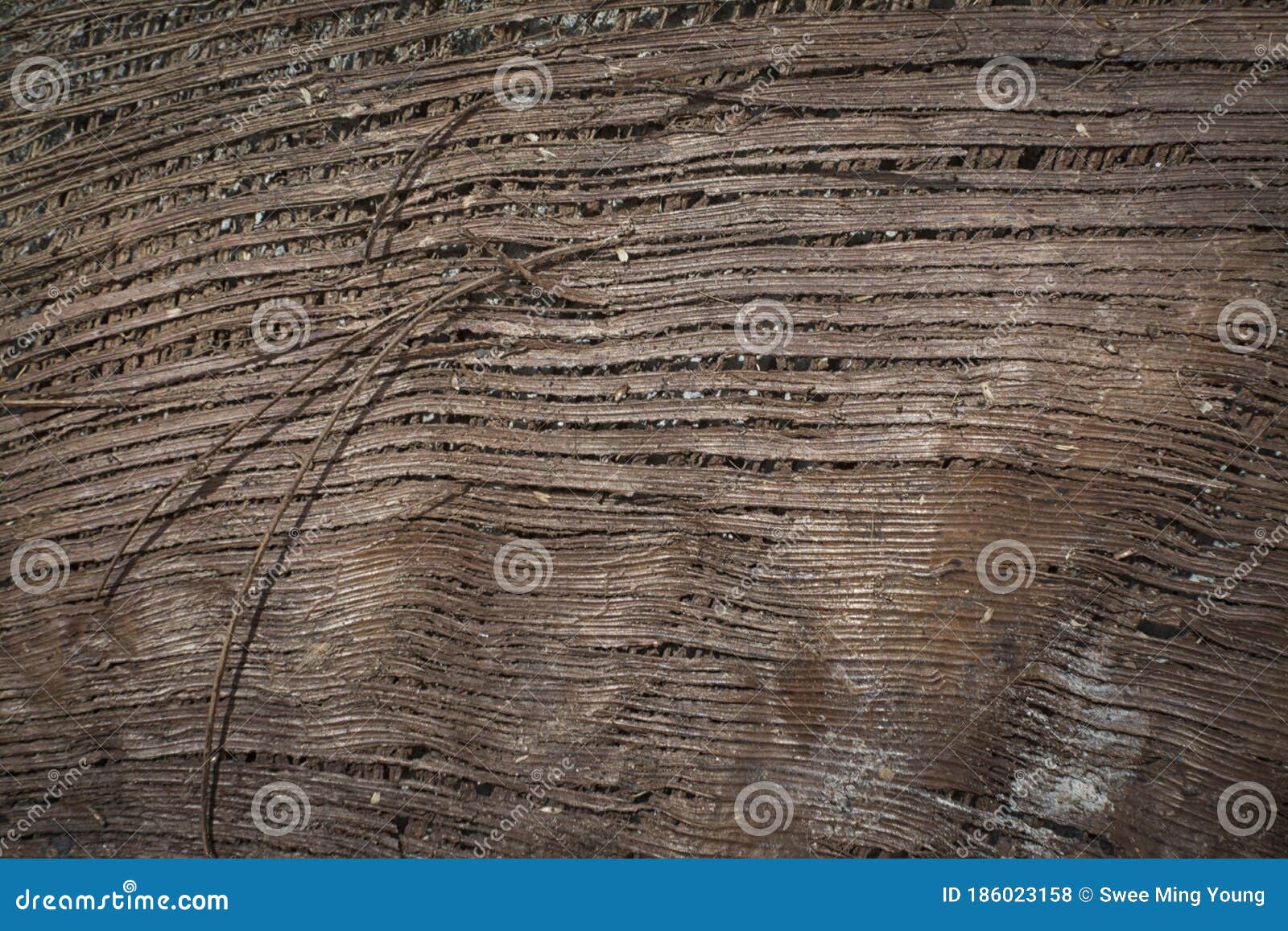 Unique Textures and Backgrounds for Decorative Wallpaper Stock Photo ...