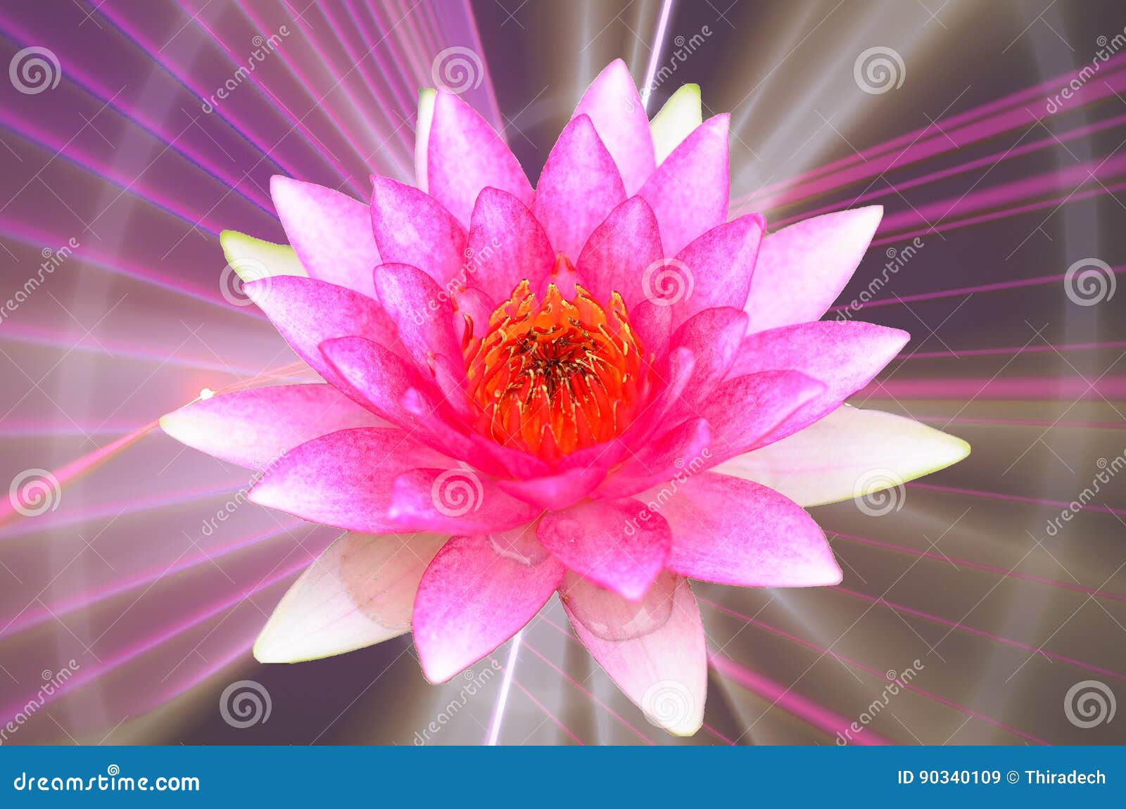 Wallpapers, Flowers Gradient Background Stock Image - Image of gradient ...