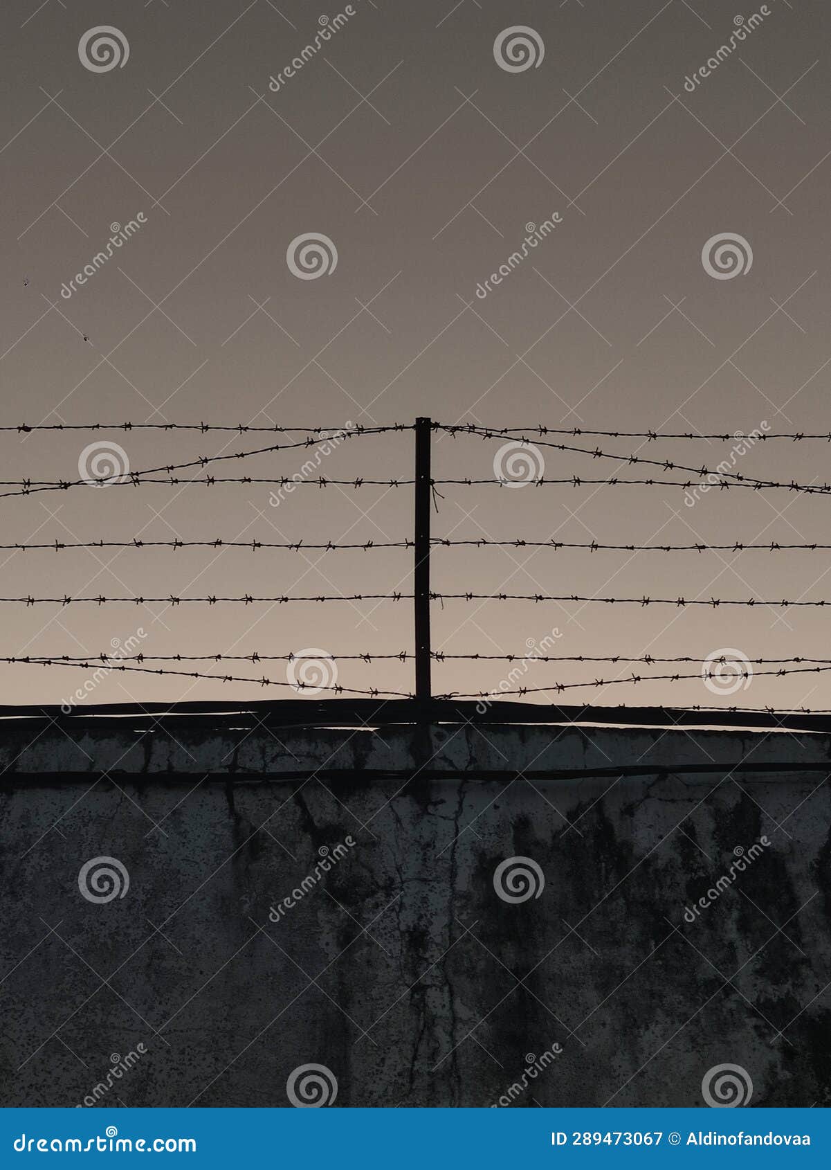 Walls and Barbed Wire between Evening and Night Stock Image - Image of ...