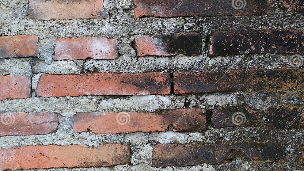 The Walls of the House are Damaged but Still Function Even Still ...