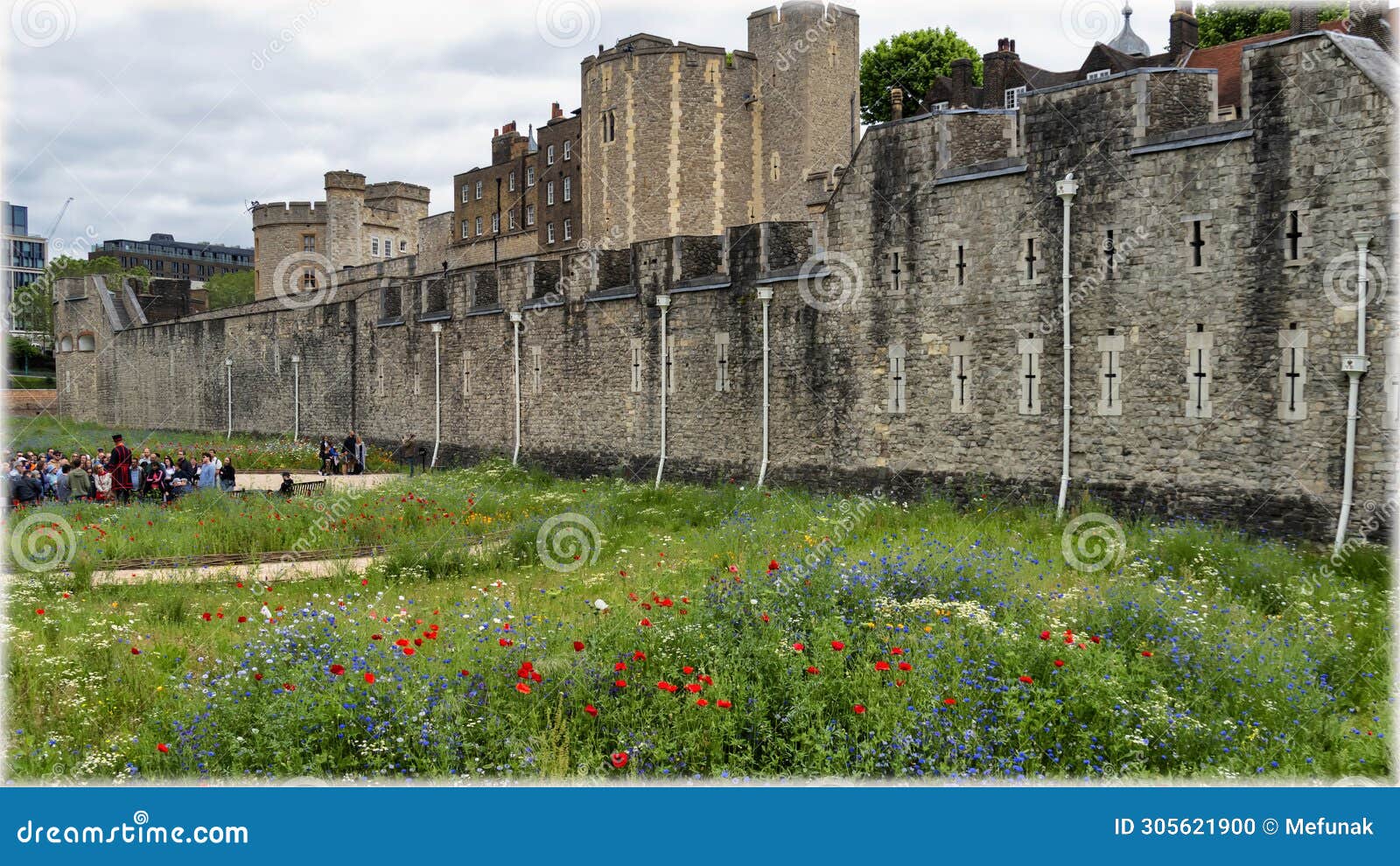 Walls of London Tower stock photo. Image of beefeater - 305621900