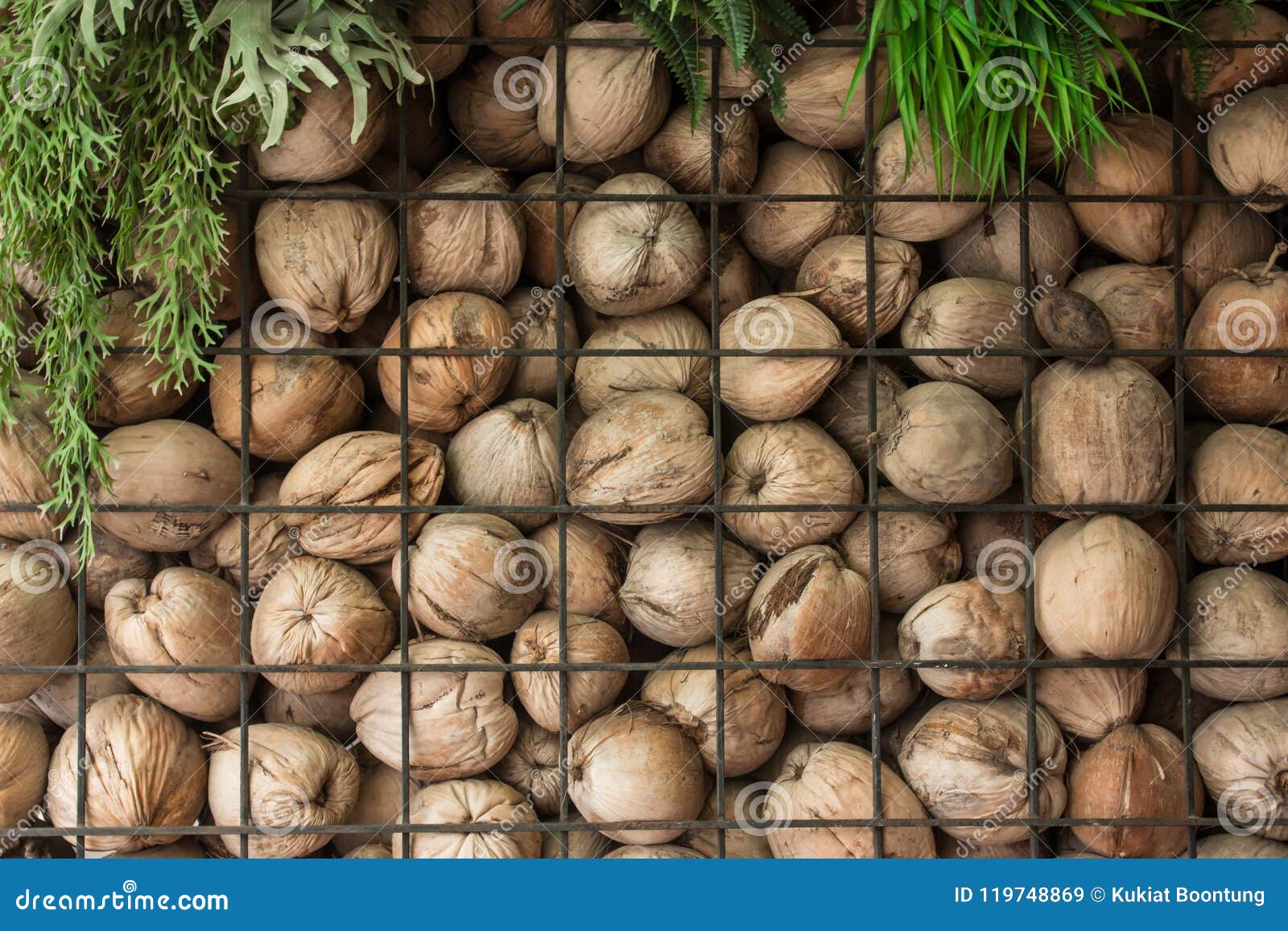 Walls are Made with Coconut Layer Stack. Stock Image - Image of food ...