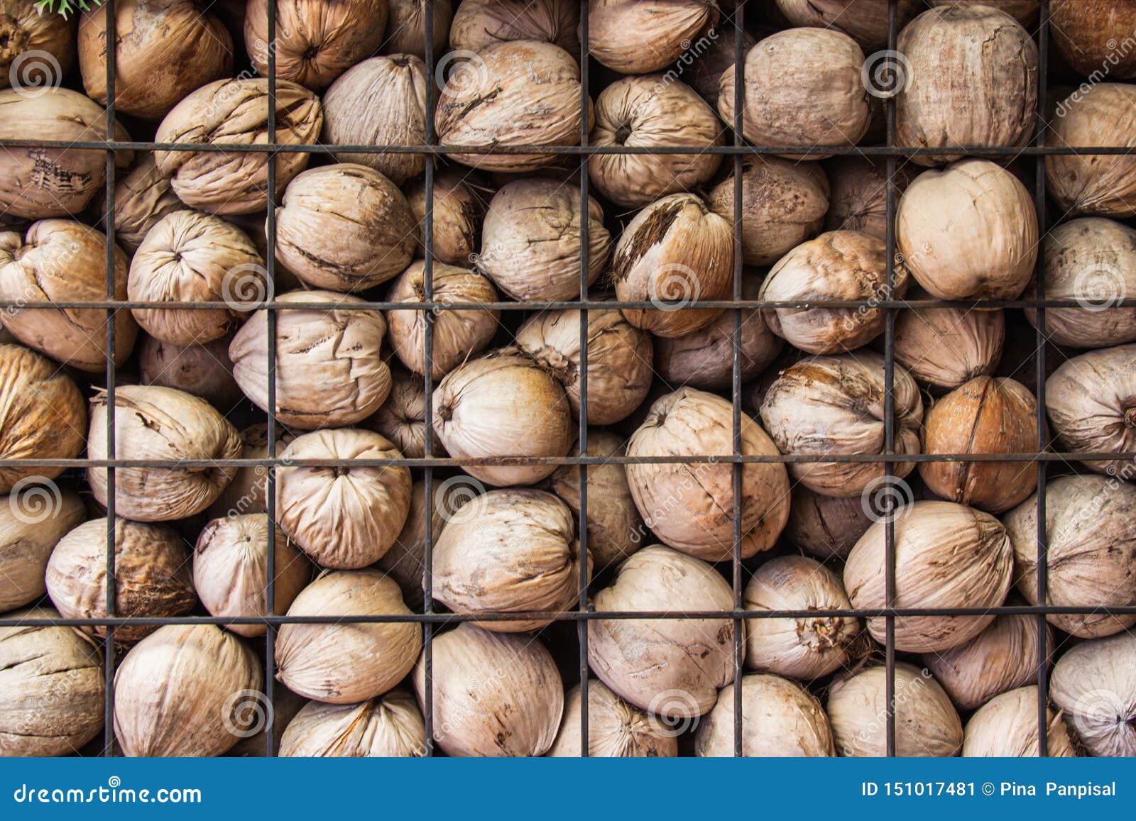 The Walls are Made Pile of Dried Brown Coconut Stack with Partition ...