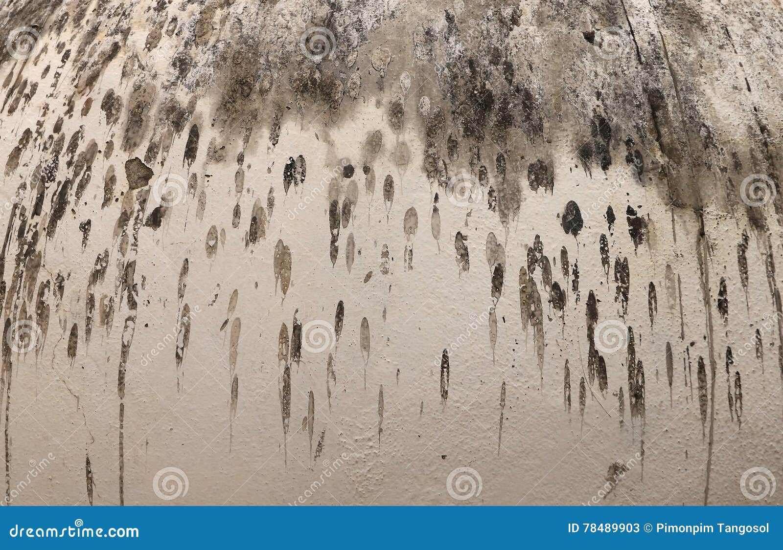 Walls moldy stock image. Image of cracked, background - 78489903