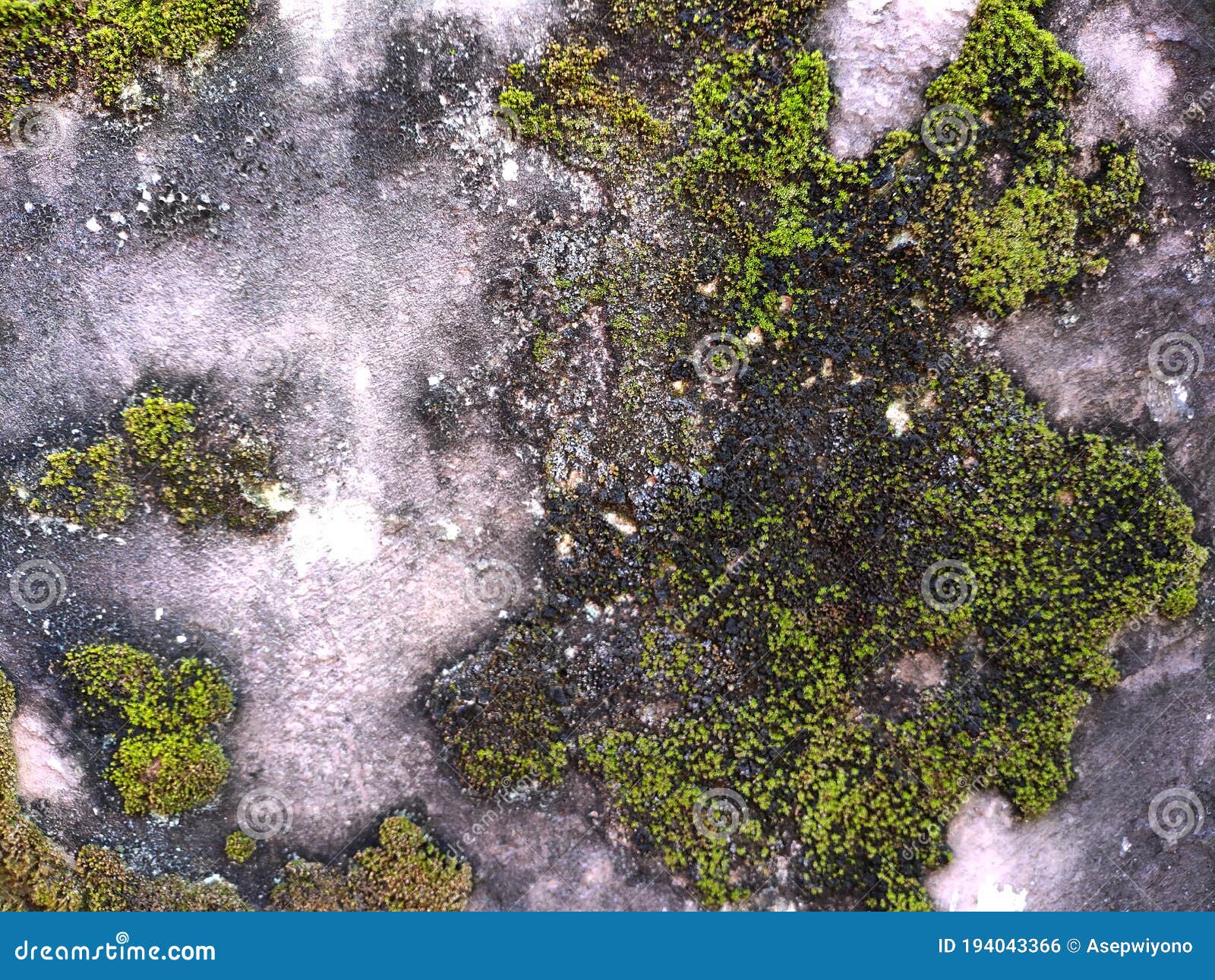 Walls are mossy and rusty stock photo. Image of texture - 194043366