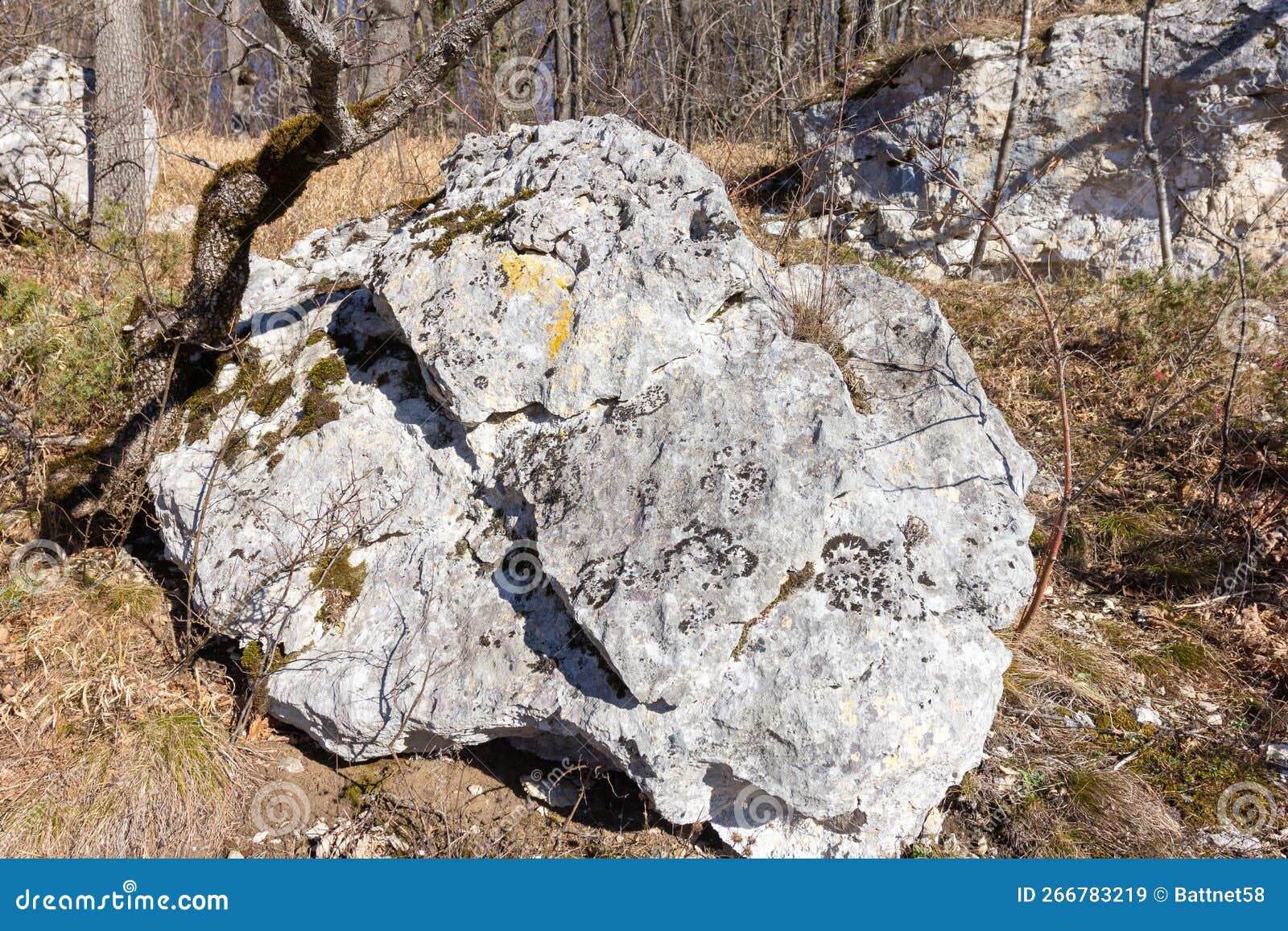 Walls in a Mountain Cave, Natural Stone, Cut Structure, Material for ...