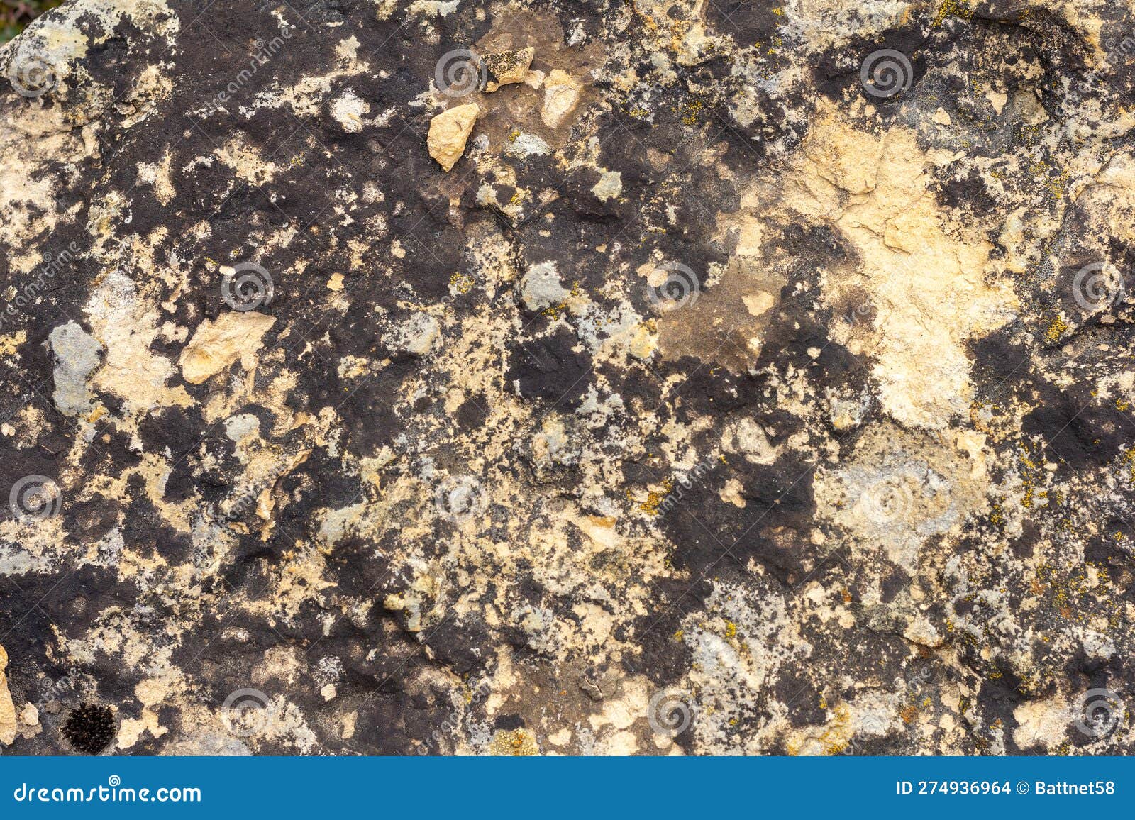 The Surface of a Mountain Plateau with a Shallow Stone Structure ...