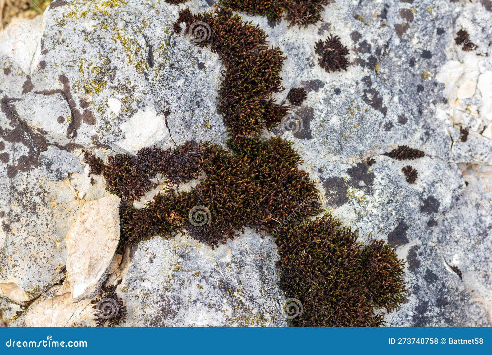 Stone Wall in a Mountain Cave, Limestone Period Structure of Geological ...