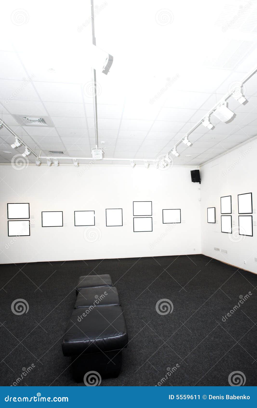 Walls in Museum with Frames Stock Image - Image of culture, domestic ...