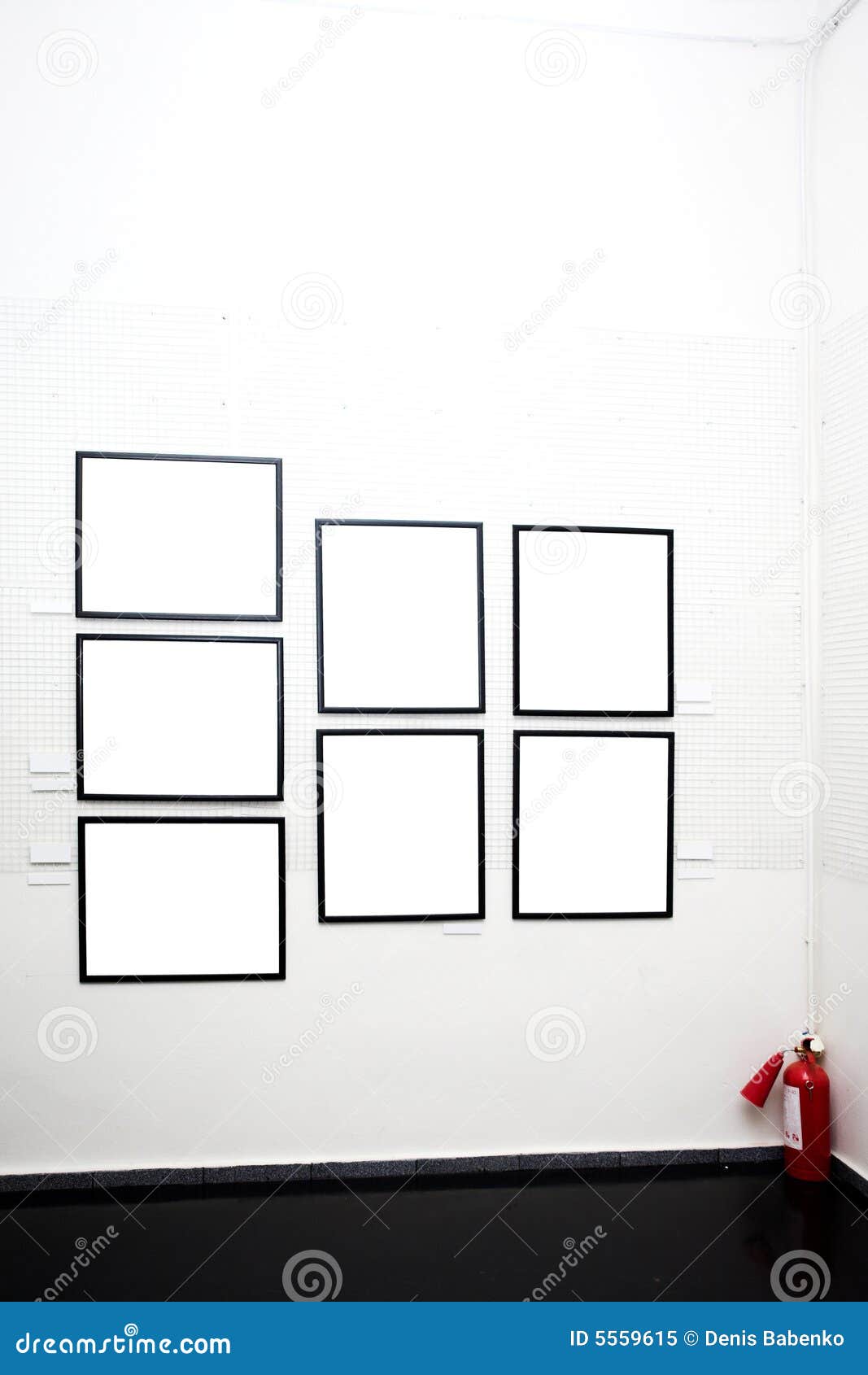 Walls in Museum with Frames Stock Image - Image of brick, display: 5559615