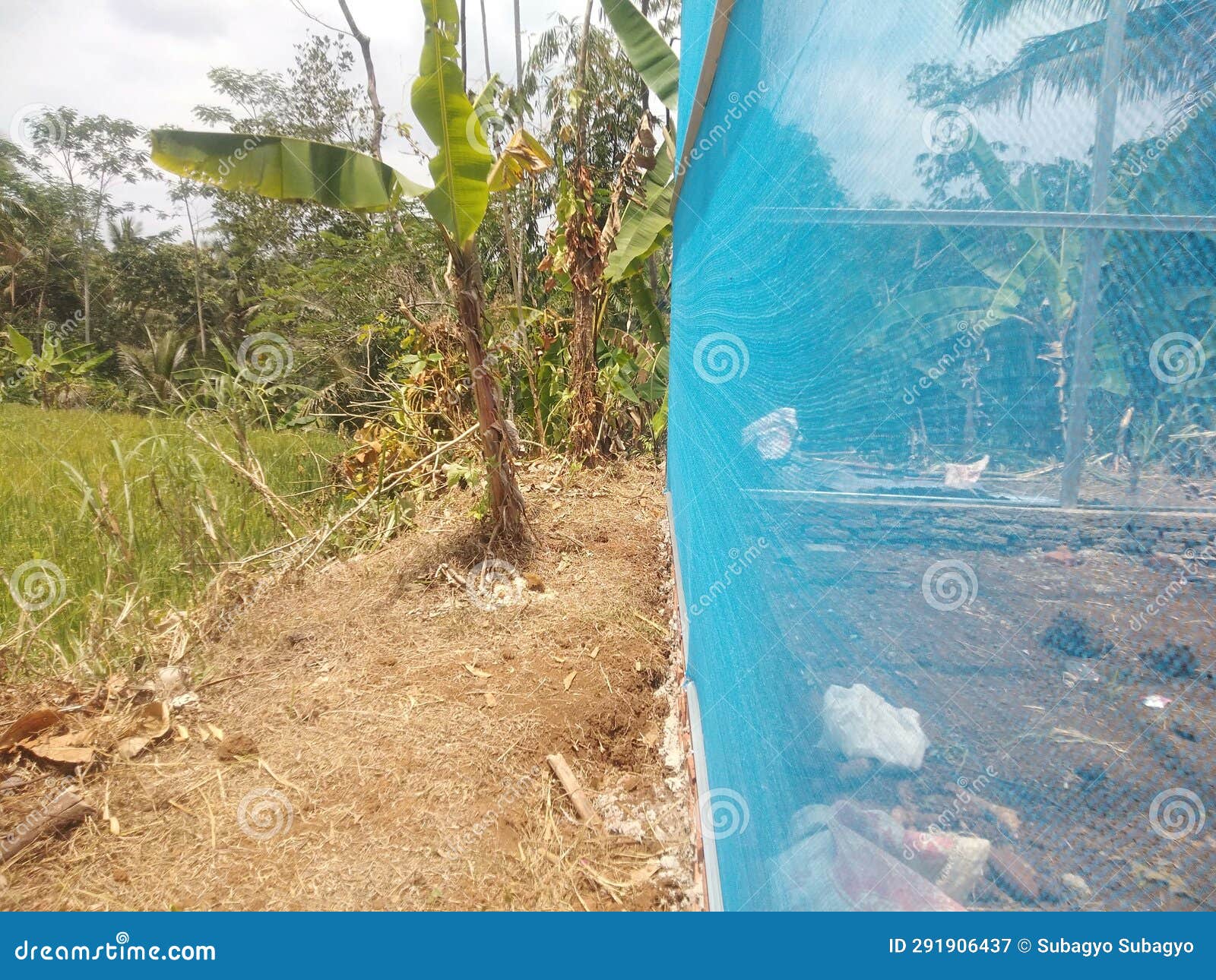 The Walls of a Simple Seedling House in a Rural Area Stock Image ...