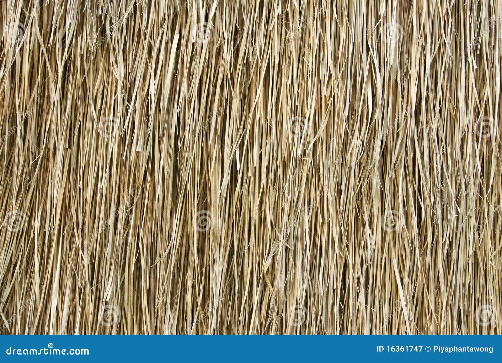 Walls of straw stock image. Image of stem, textured, grass - 16361747