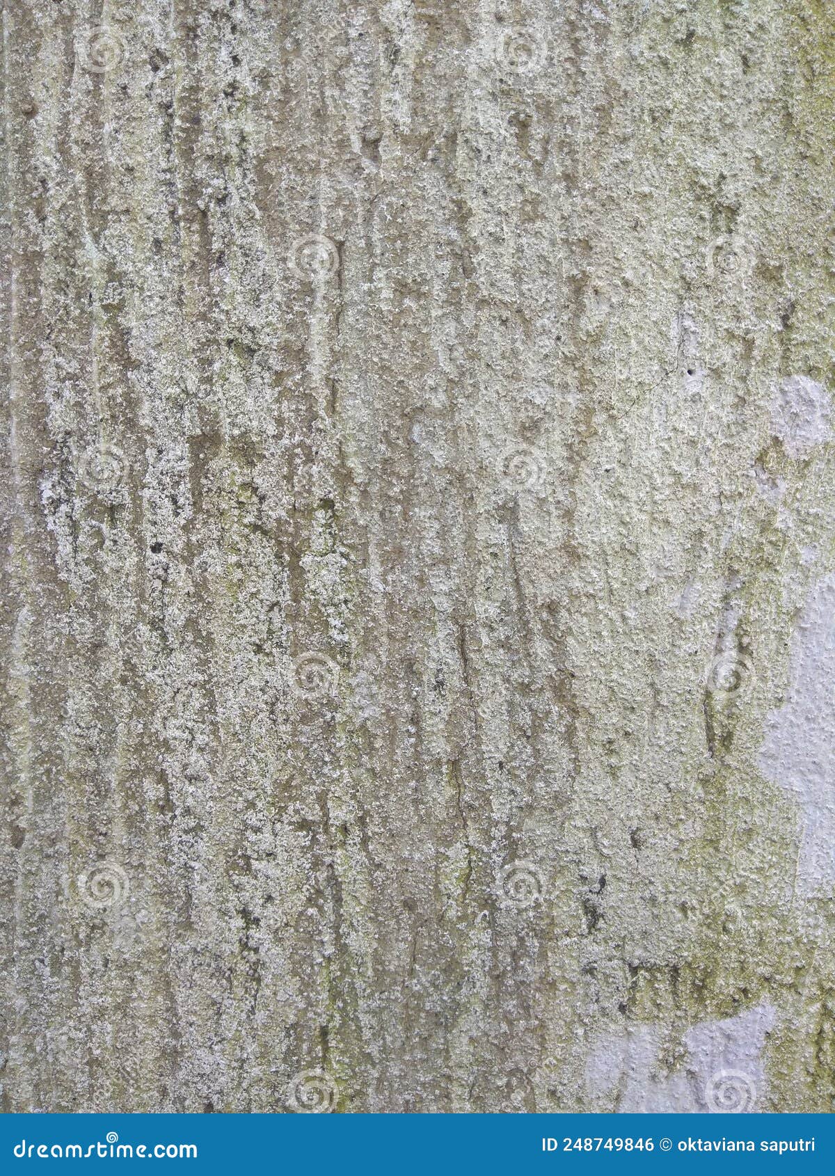 Walls with a Unique Cement Texture, Suitable for Backgrounds Stock ...