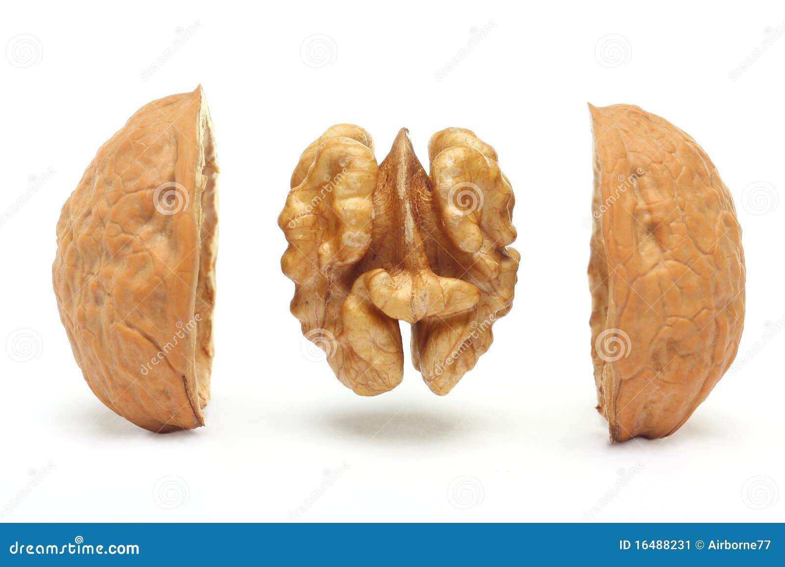 Walnuss stockbild. Bild von frucht, geöffnet, vitamin - 16488231