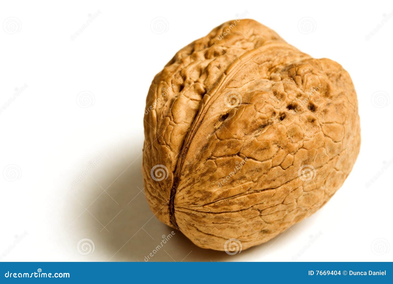 Walnuss stockfoto. Bild von makro, nahaufnahme, vollständig - 7669404