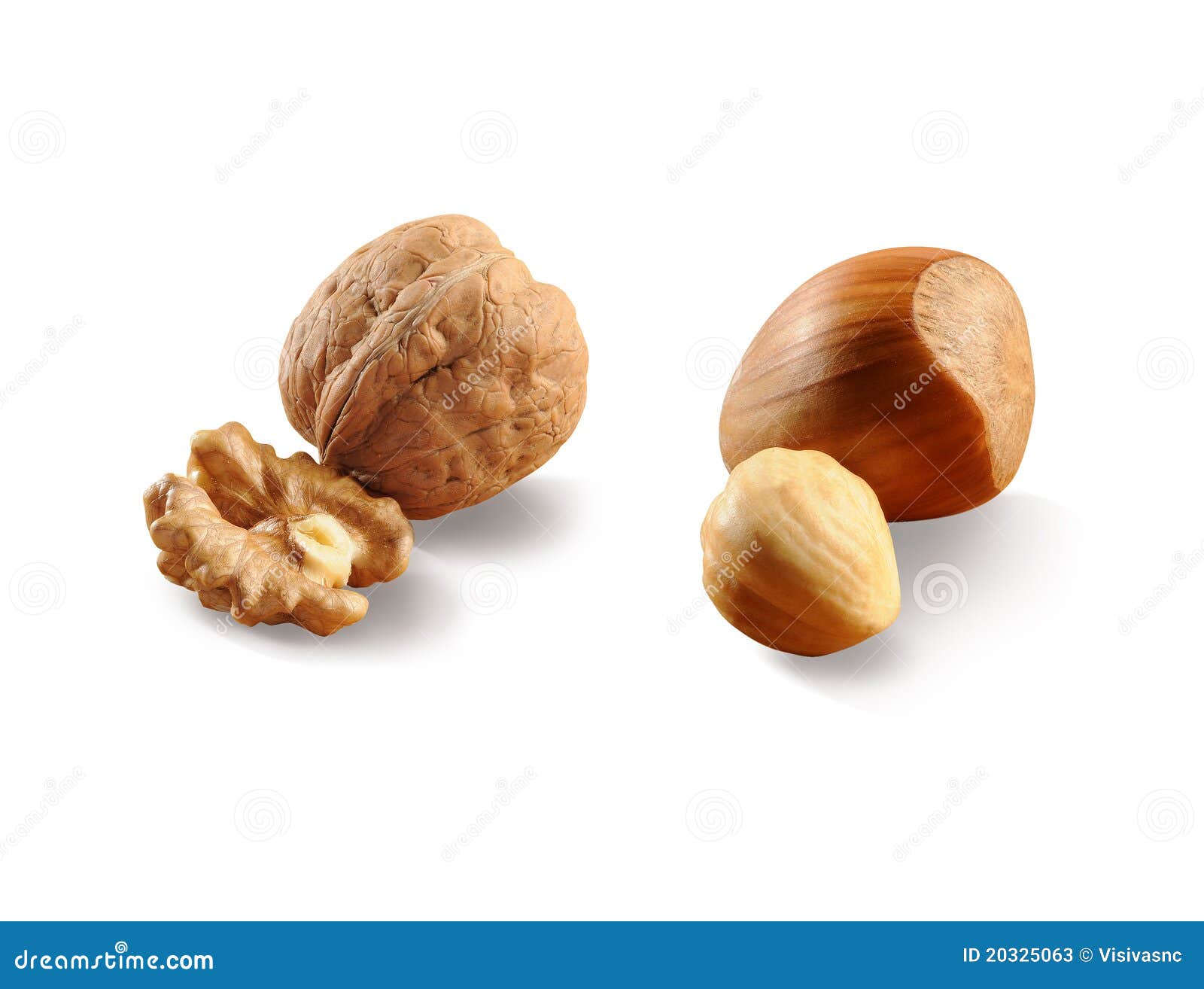 Walnuss und Haselnuss stockbild. Bild von gesund, hart - 20325063