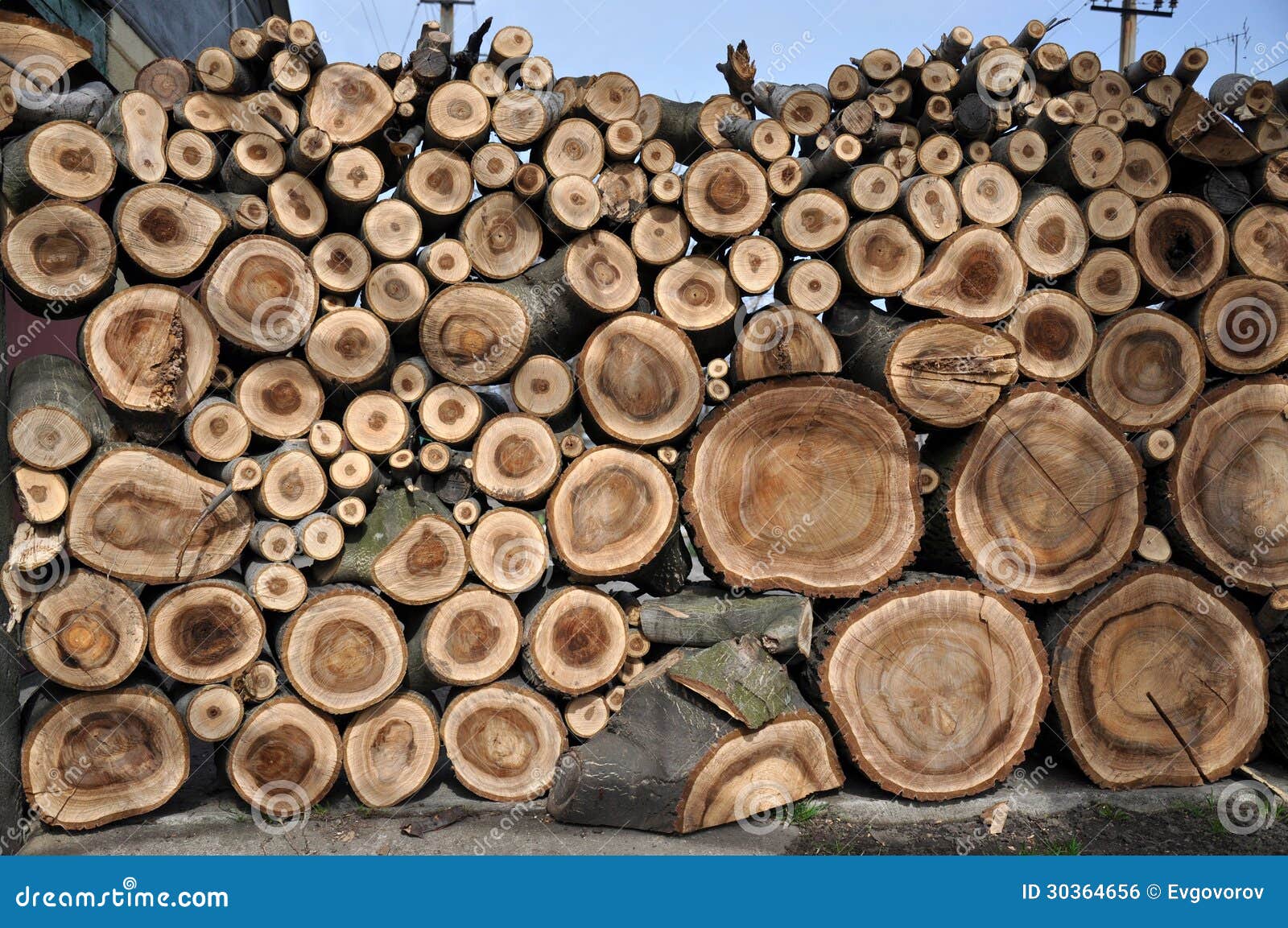 Walnussholz stockfoto. Bild von haufen, bauholz, baum - 30364656