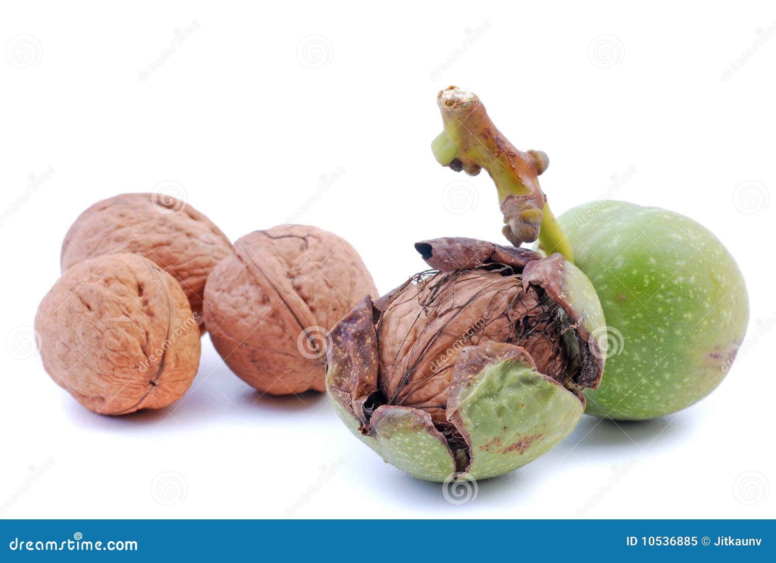 Walnut stock image. Image of nature, healthy, cuisine - 10536885