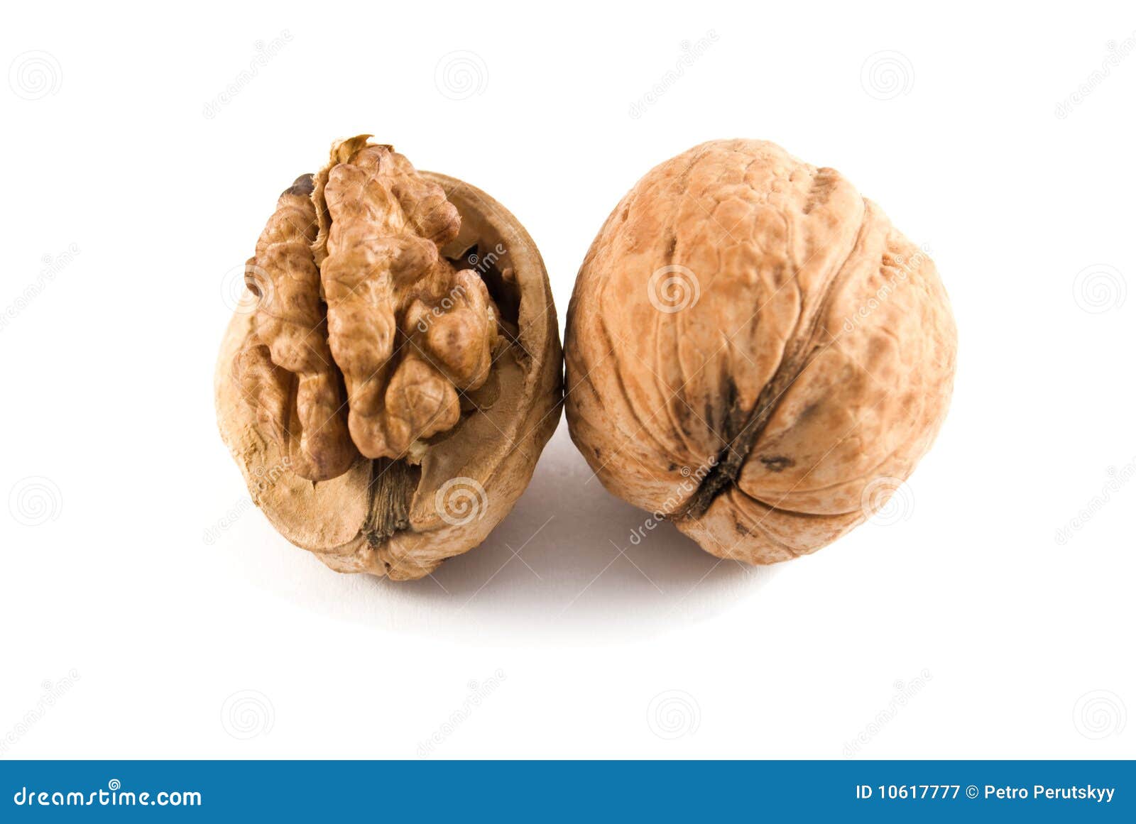 Walnut stock image. Image of walnut, objects, macro, close - 10617777