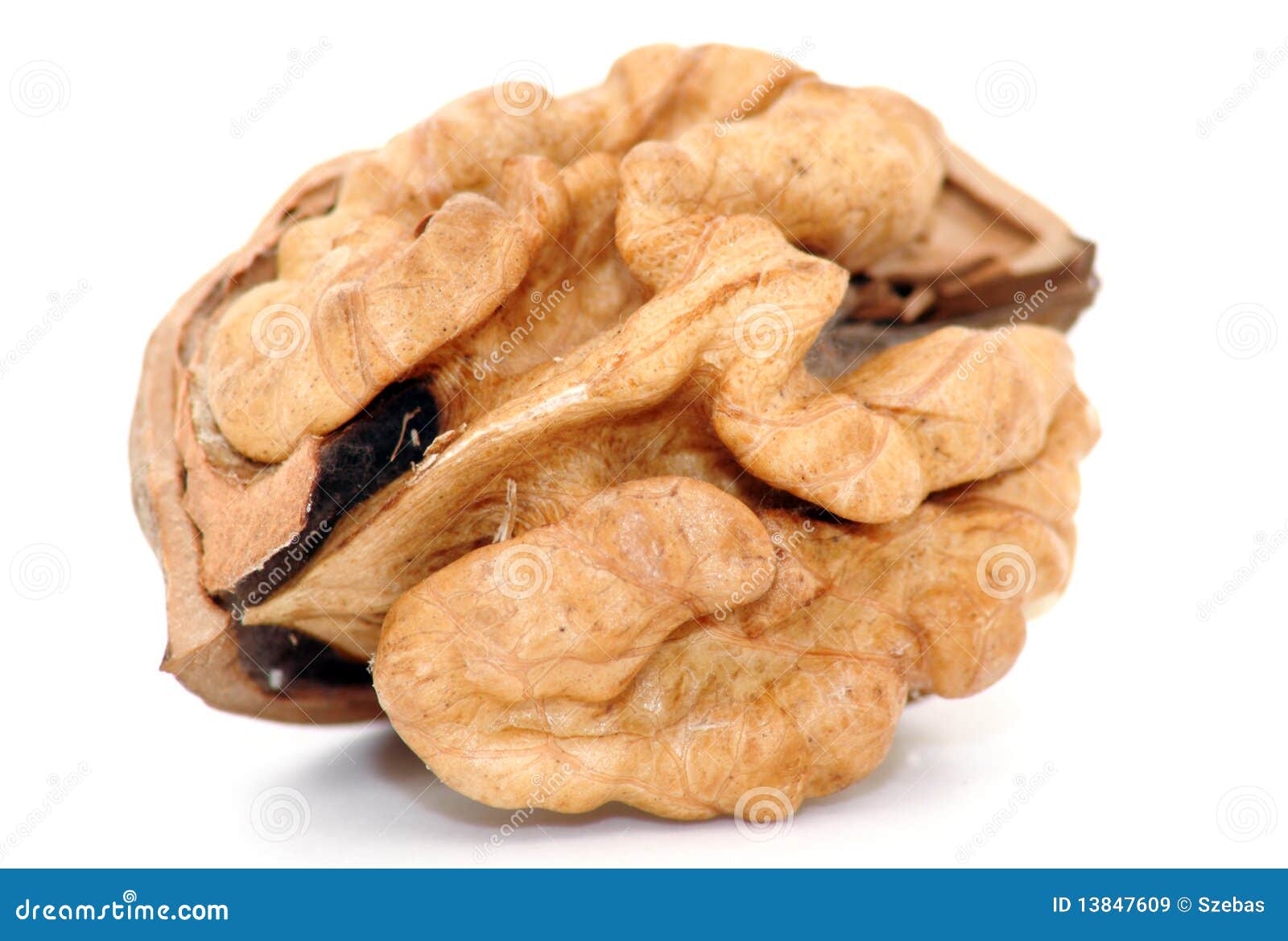 Walnut stock image. Image of dried, inside, condiment - 13847609