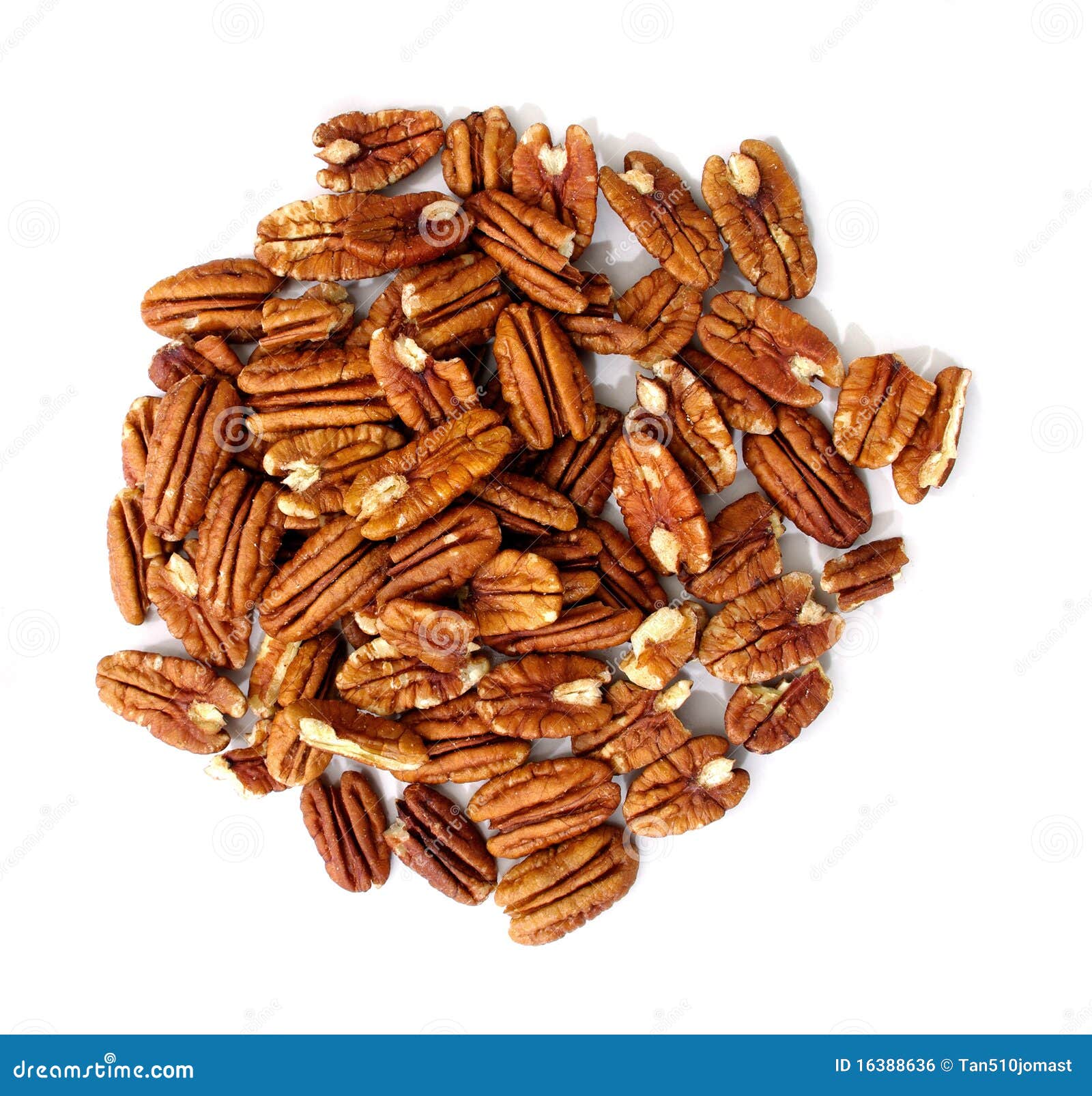 Walnut stock photo. Image of chewy, bulk, walnut, organic - 16388636