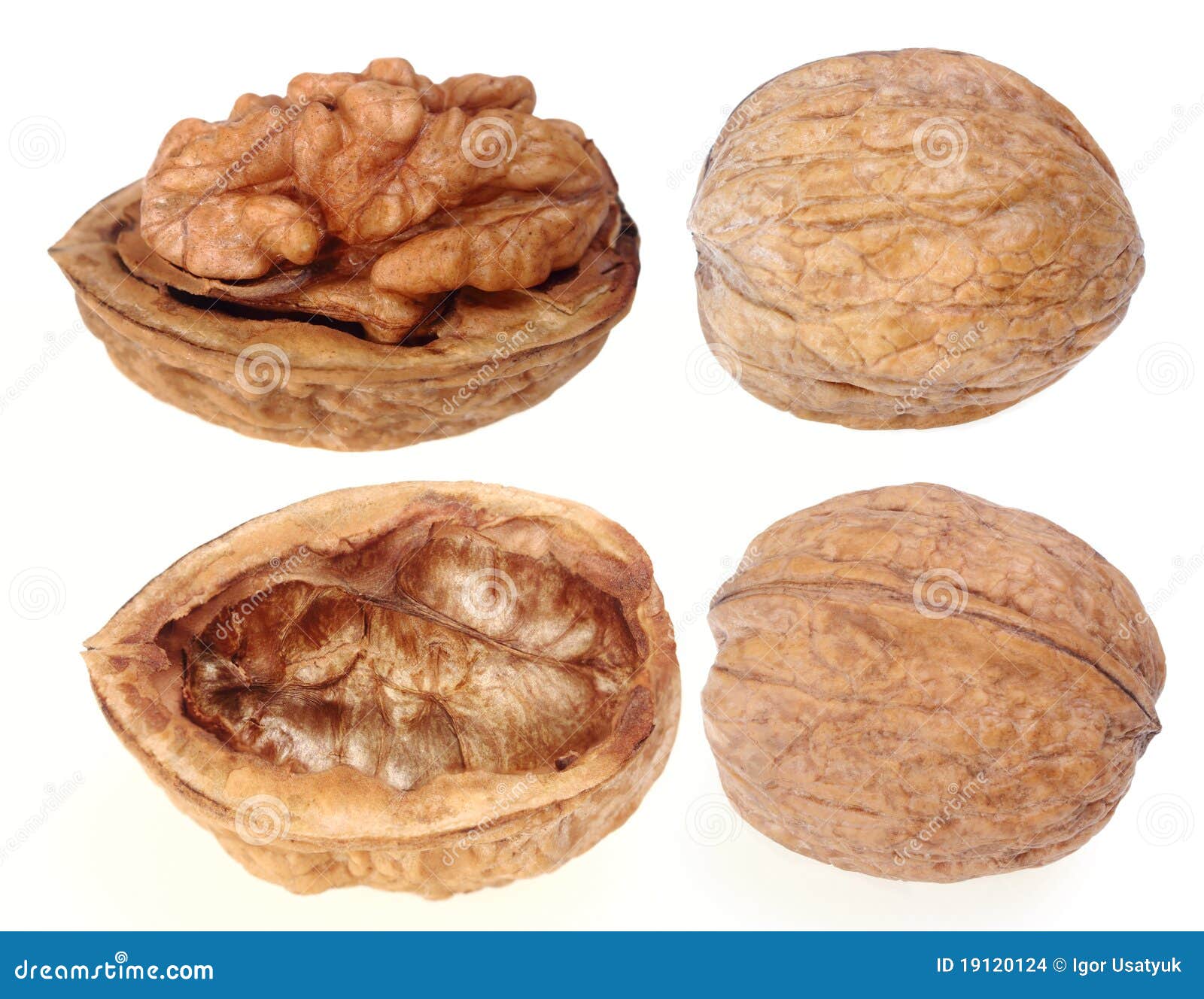 Walnut stock photo. Image of closeup, cracked, nutshell - 19120124