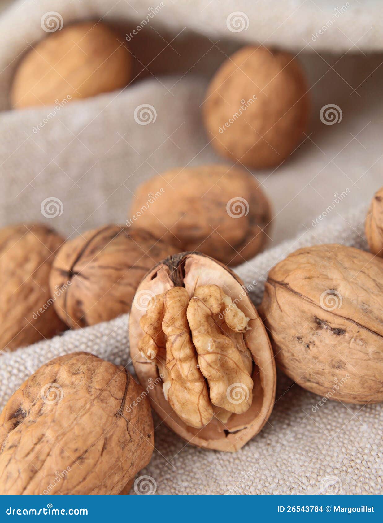 Walnut stock photo. Image of dieting, decoration, food - 26543784