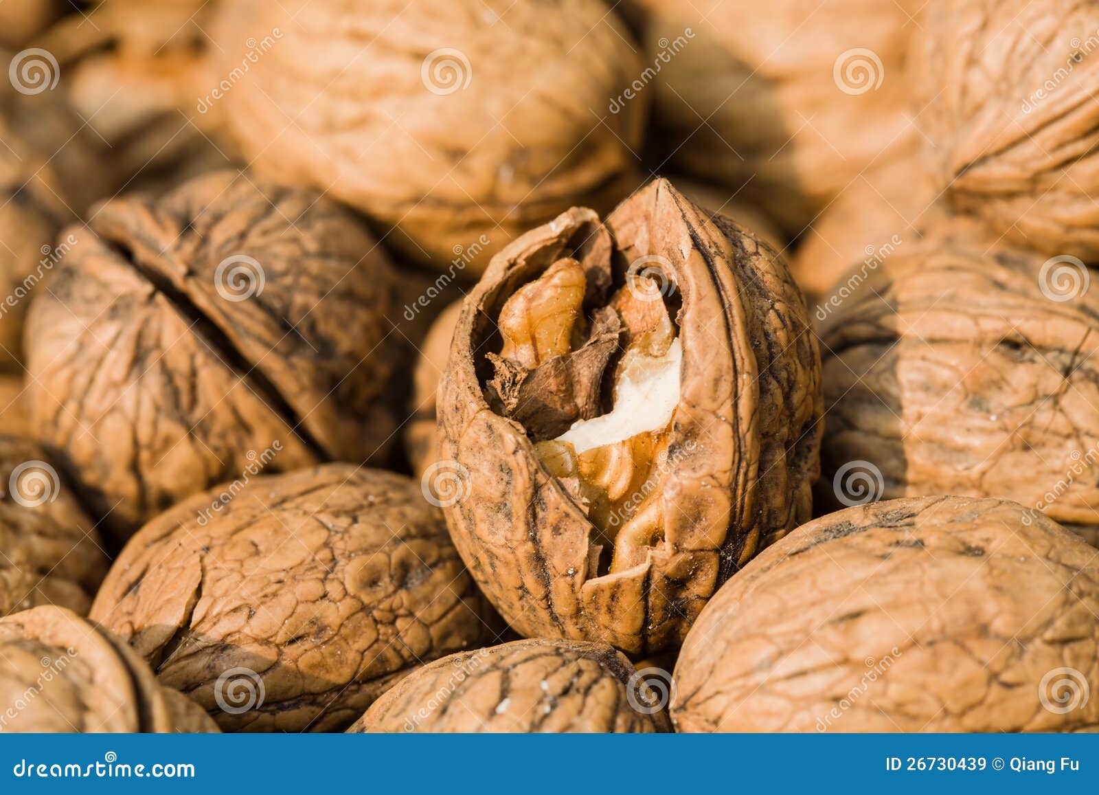 Walnut stock image. Image of nuts, close, shape, nature - 26730439