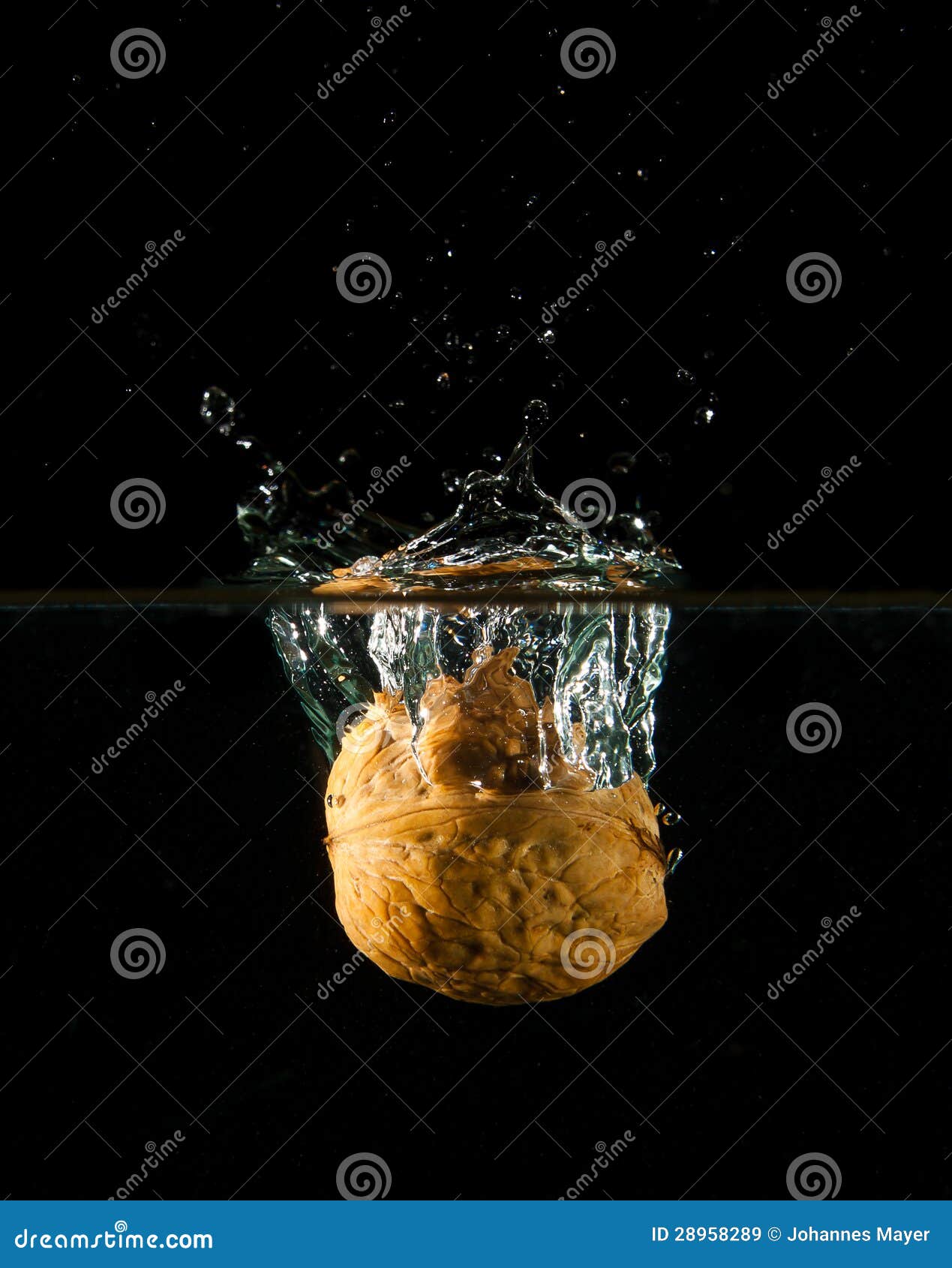 Walnut stock image. Image of healthy, clean, bubble, splashing - 28958289