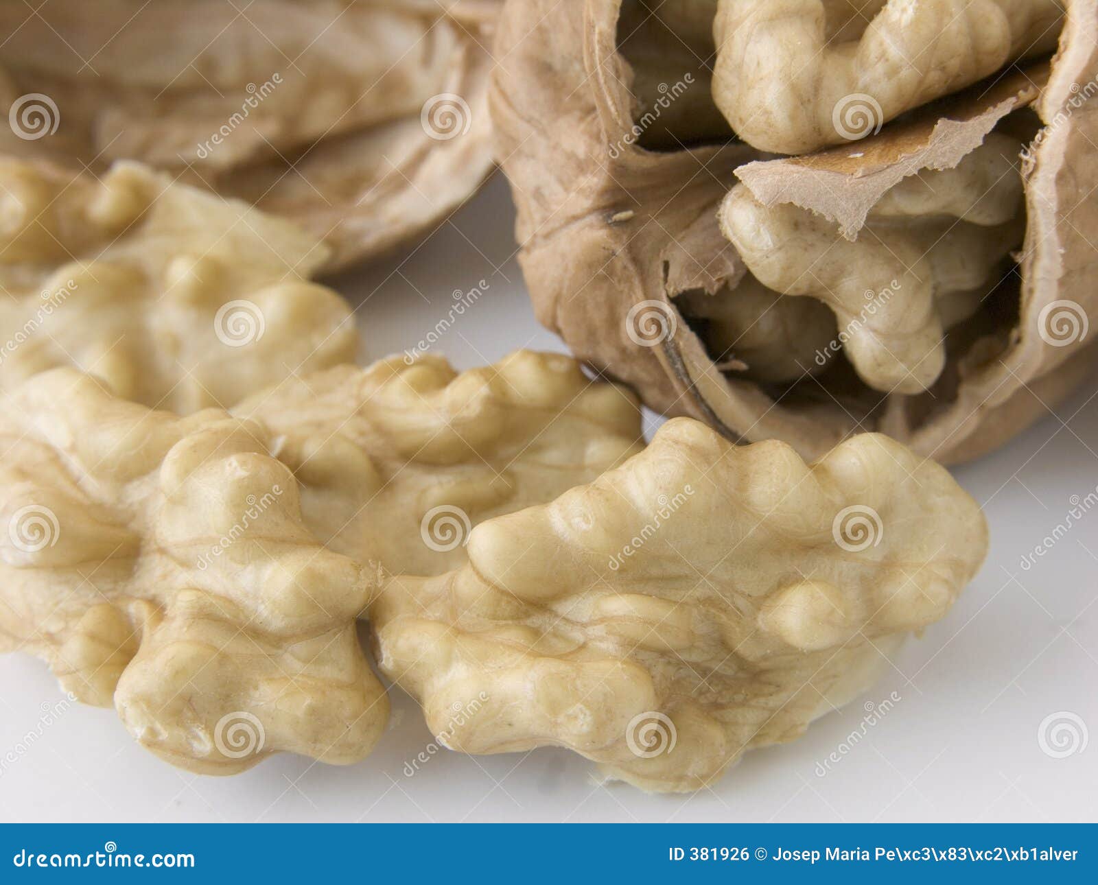 Walnut stock photo. Image of finger, natural, nutshell - 381926