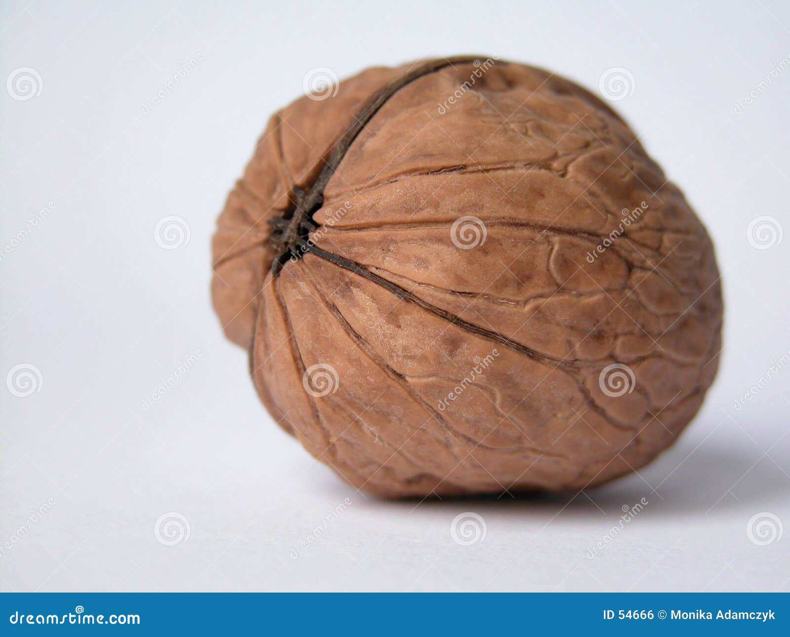 Walnut stock photo. Image of food, crust, nuts, walnut, green - 54666