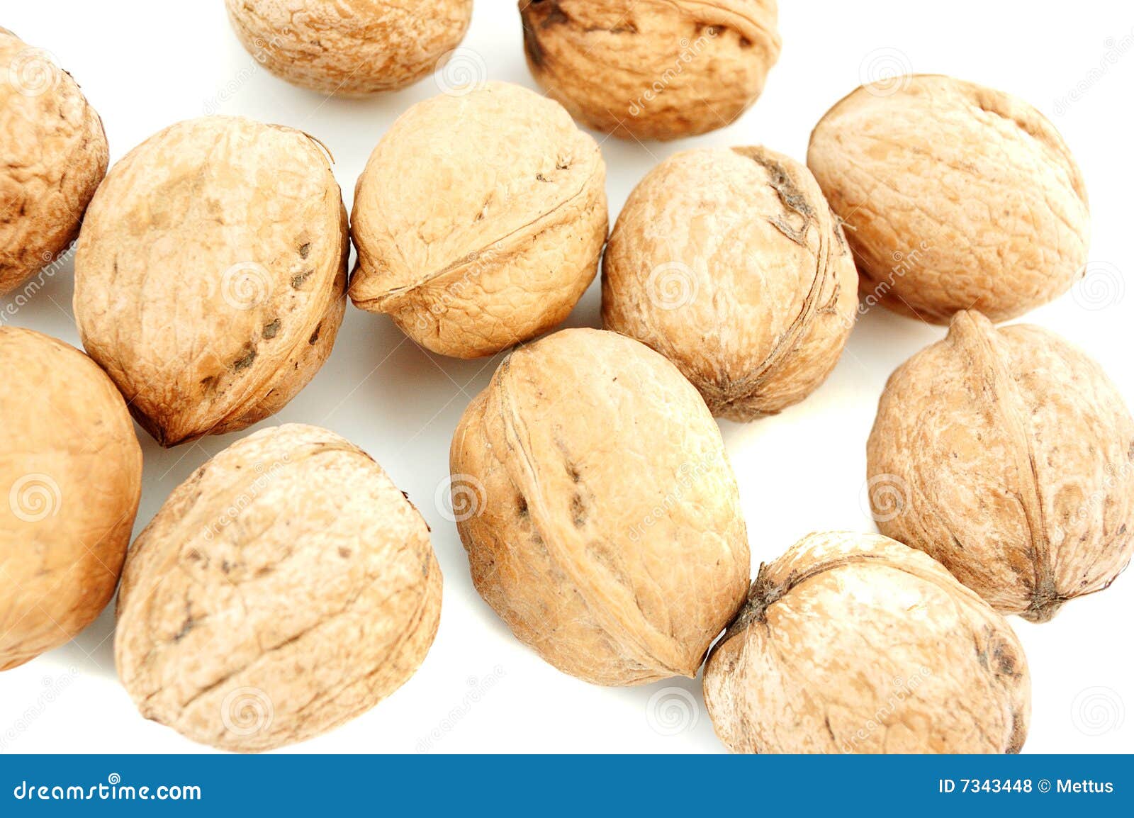 Walnut stock photo. Image of close, heap, group, full - 7343448