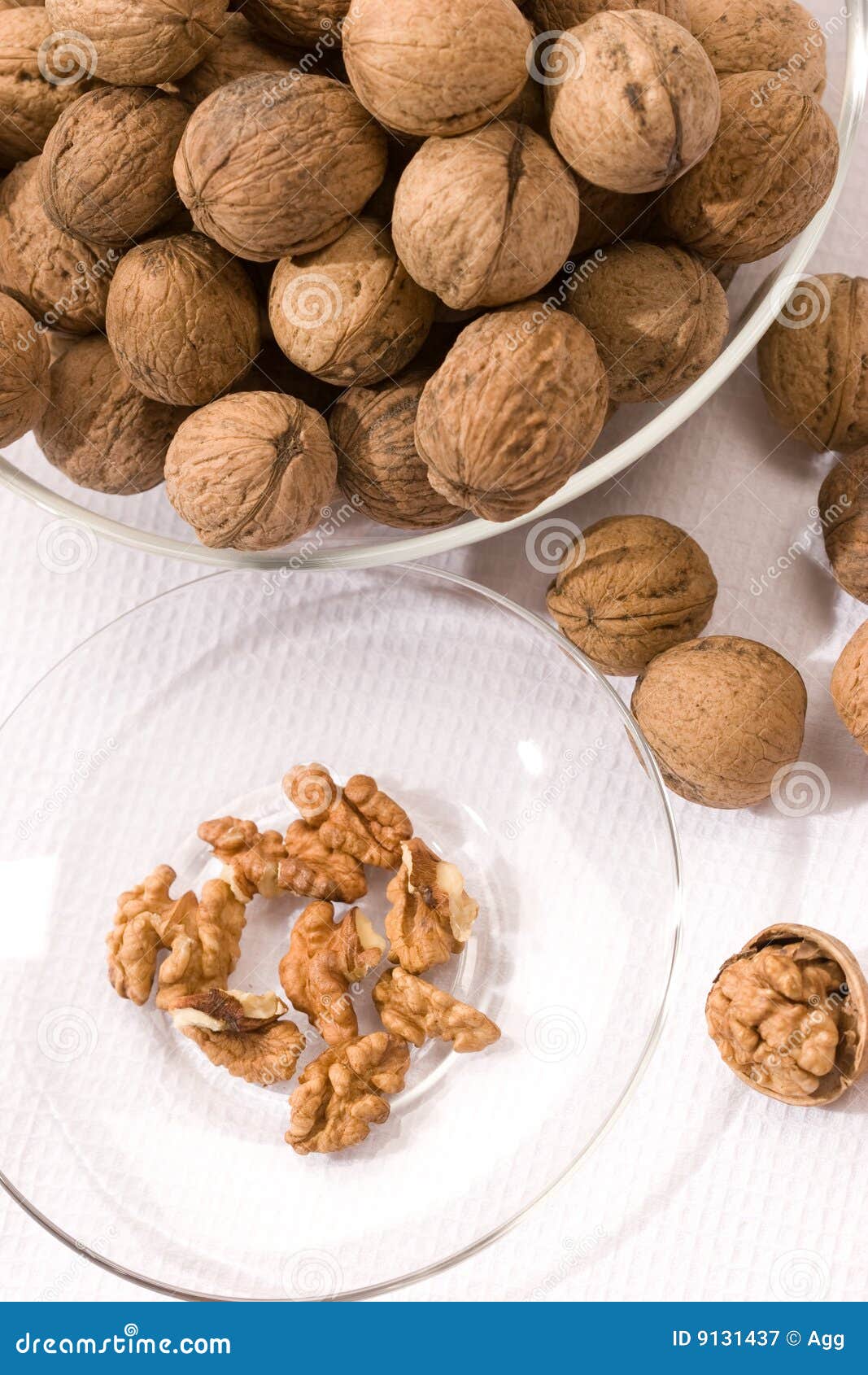 Walnut stock image. Image of entire, intact, walnut, safe - 9131437
