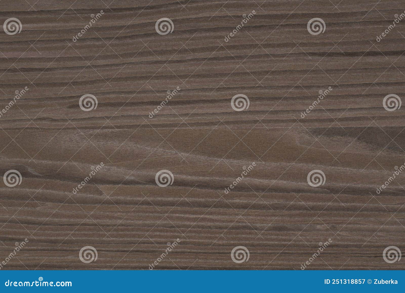 Walnut American 5 Wood Background Stock Image - Image of pattern ...