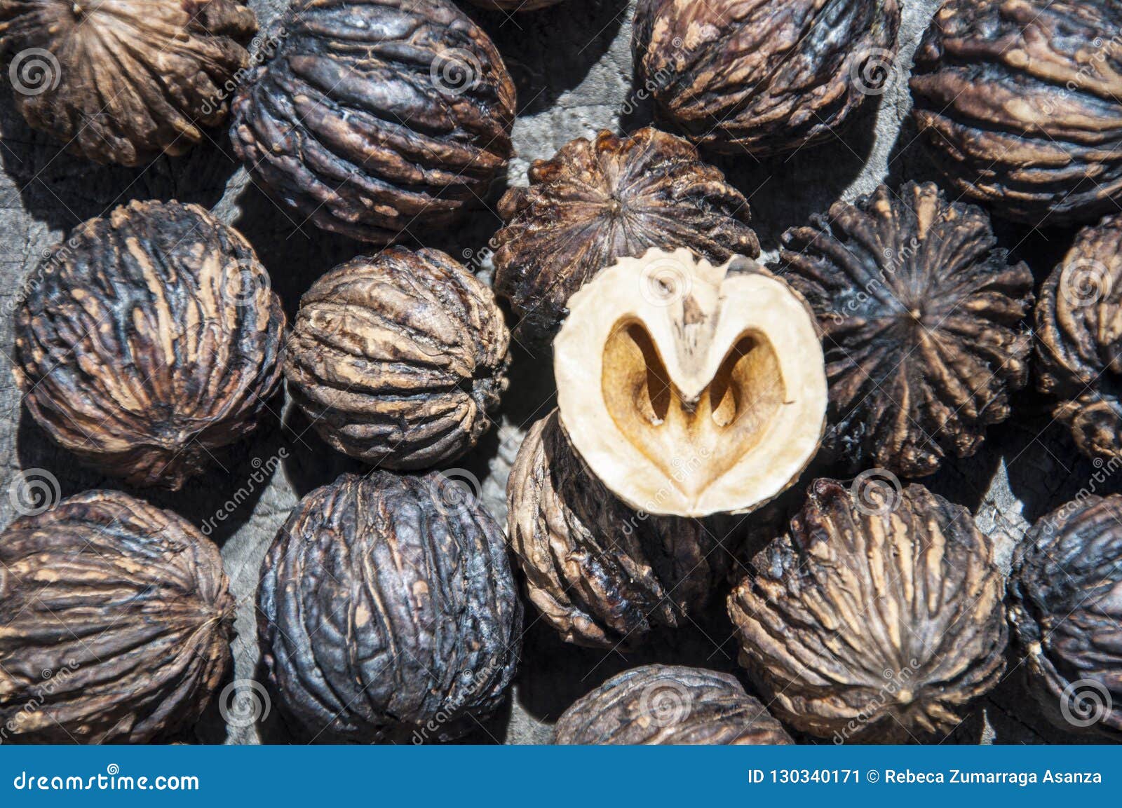 Walnut from the Andes stock image. Image of andean, walnut - 130340171