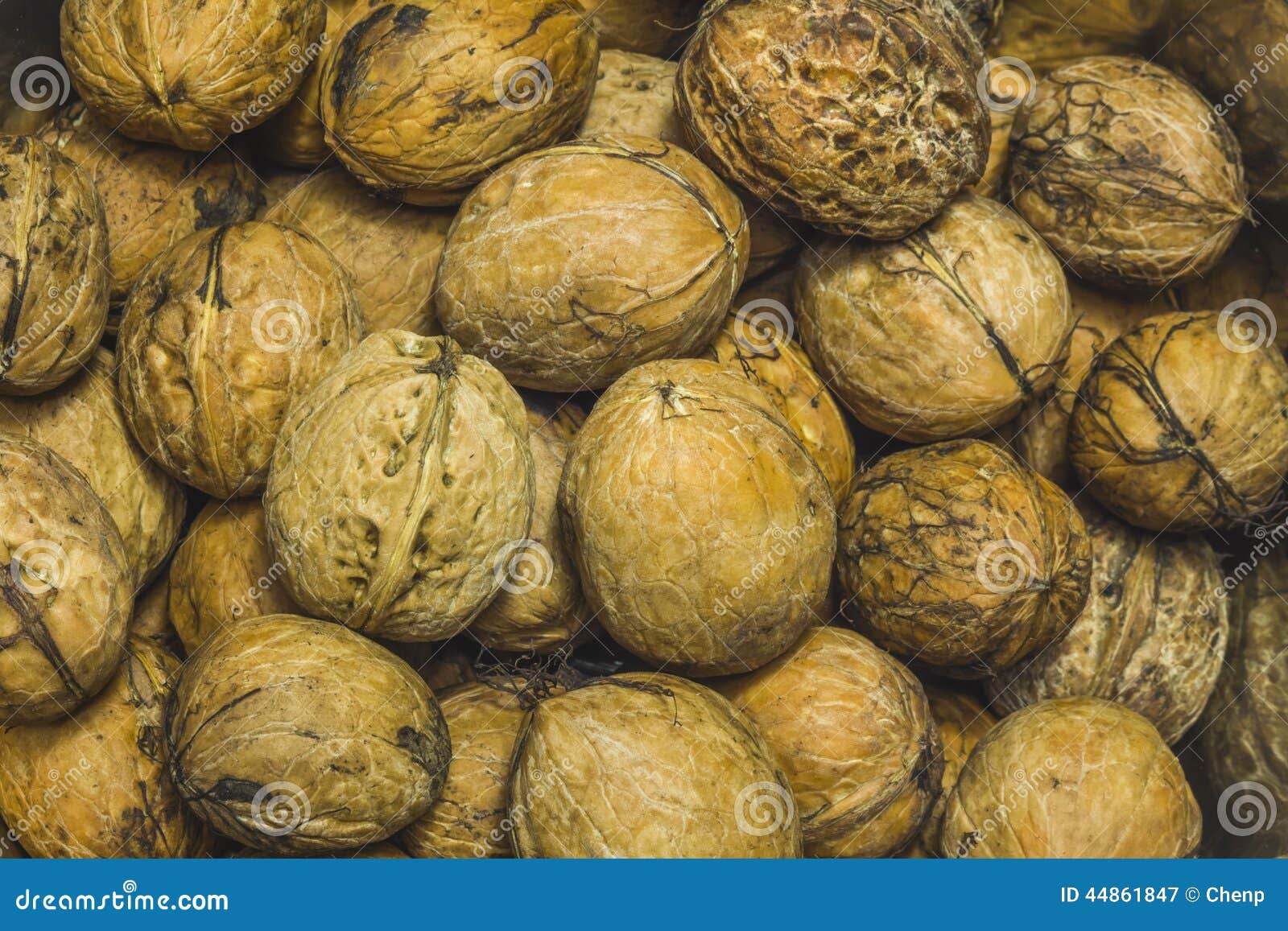 Walnut stock image. Image of health, material, fall, fruit - 44861847