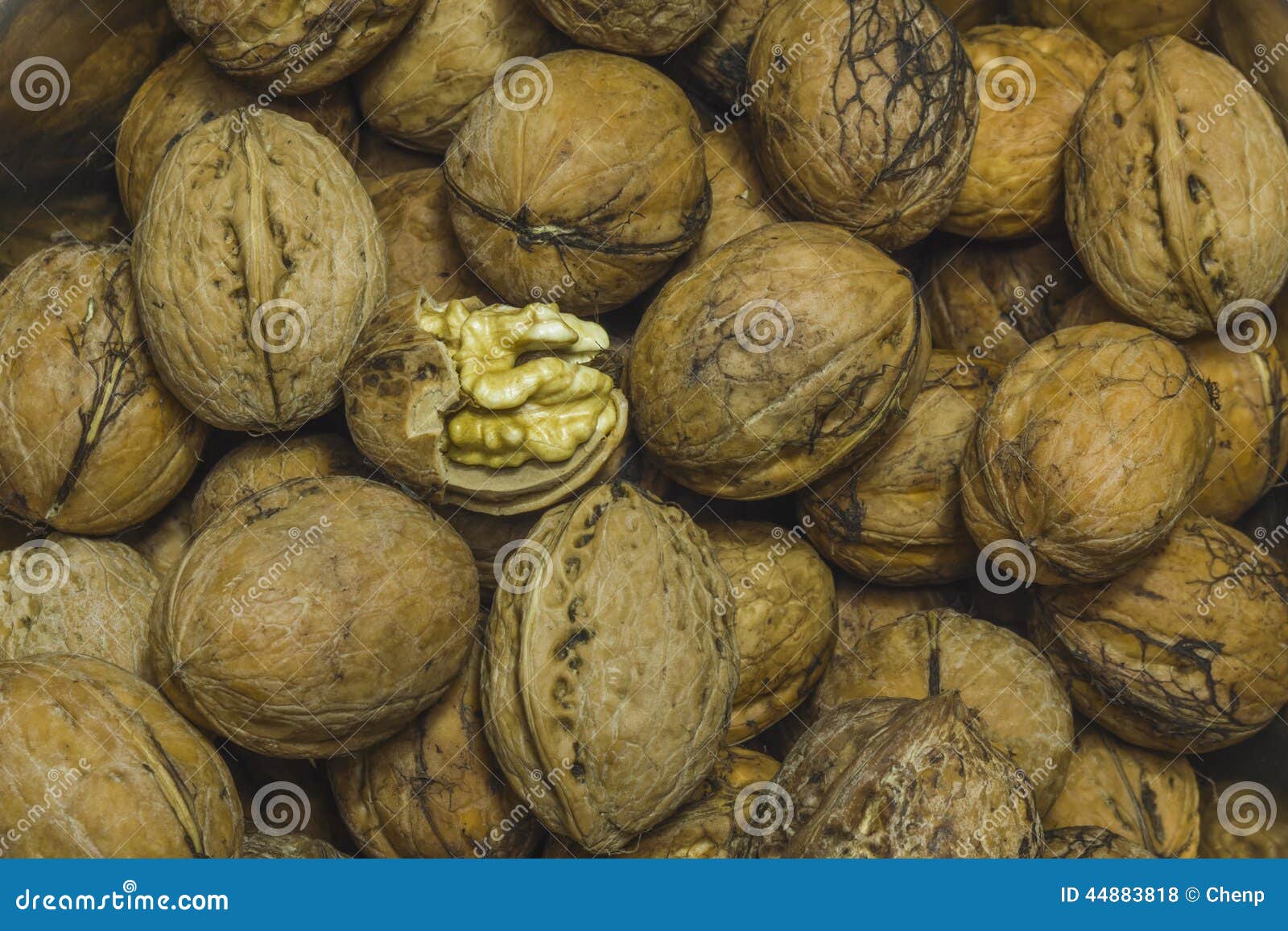 Walnut stock photo. Image of ingredient, material, fresh - 44883818