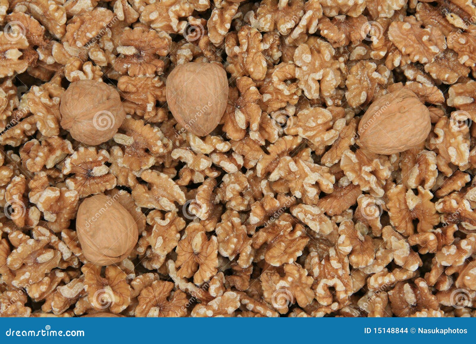 Walnut background stock photo. Image of crunchy, isolated - 15148844