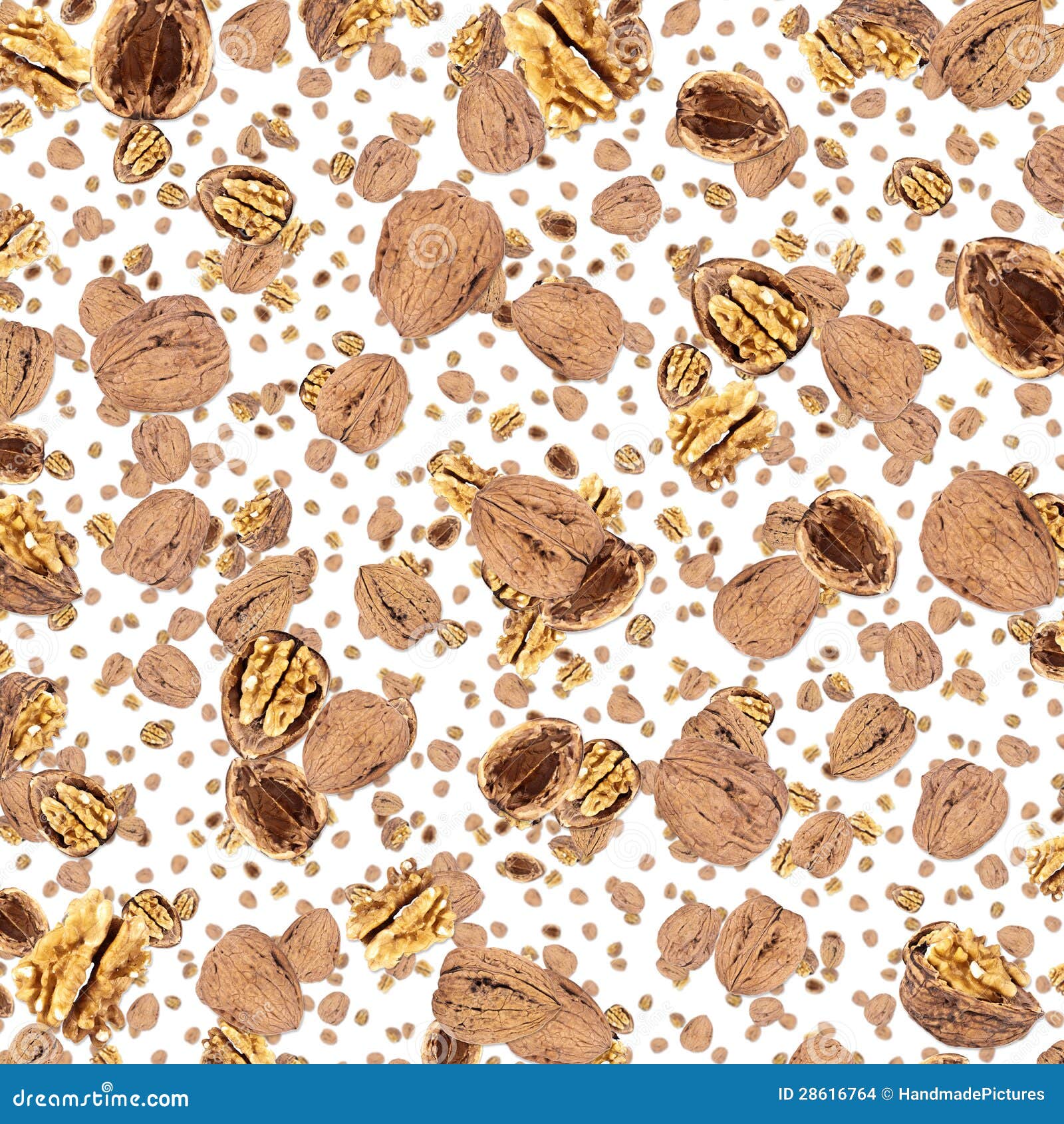 Walnut Background (on White) Stock Illustration - Illustration of white ...