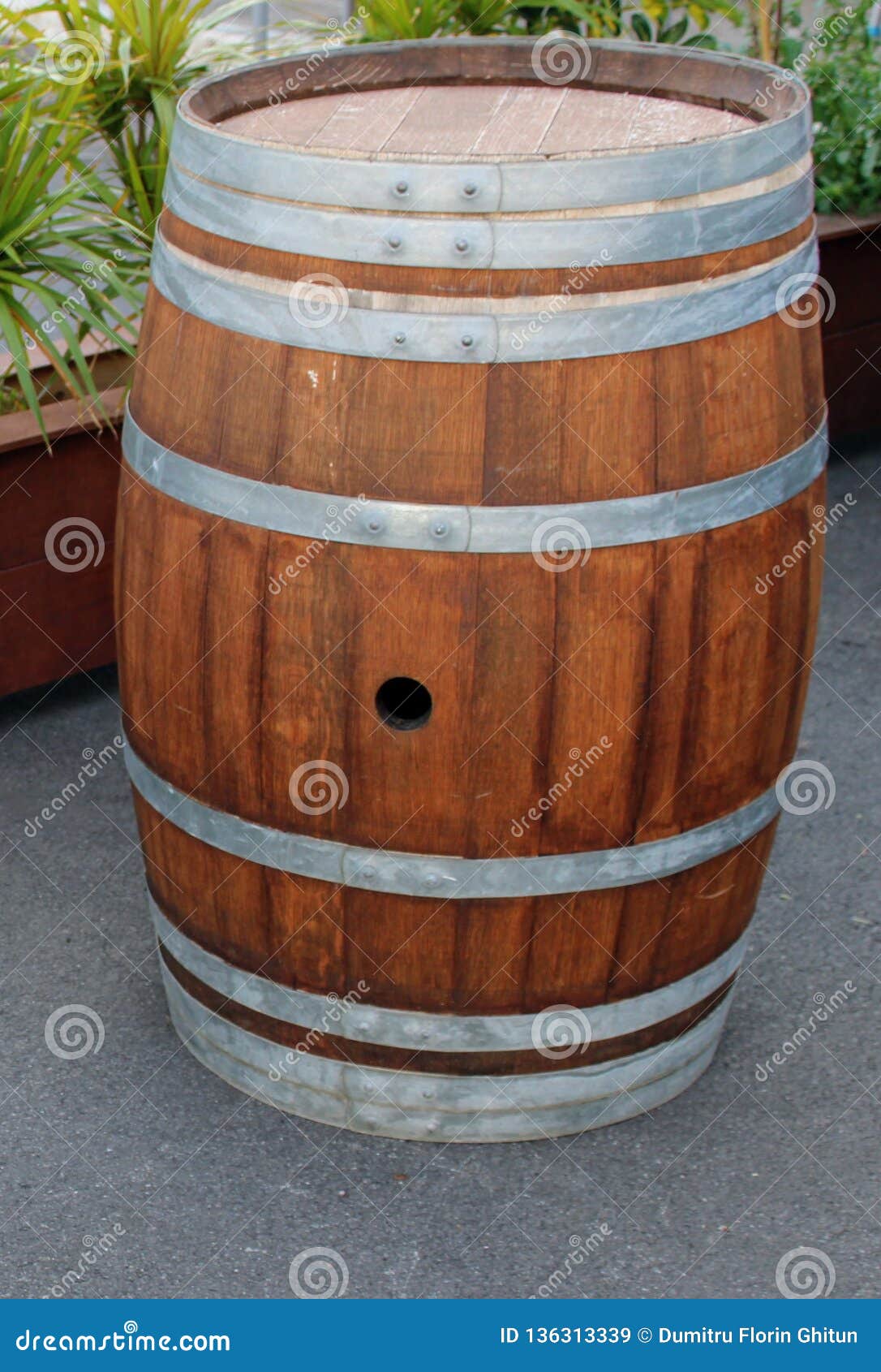 Walnut Barrels for Decoration Stock Image - Image of vintage, isolated ...