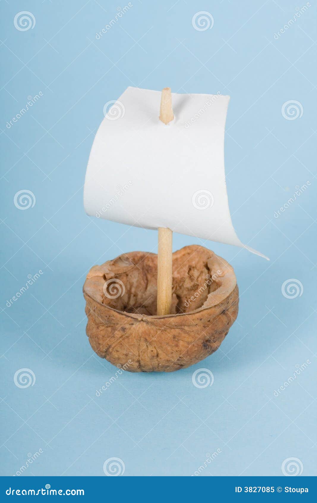 161 Ship Walnut Photos - Free & Royalty-Free Stock Photos from Dreamstime