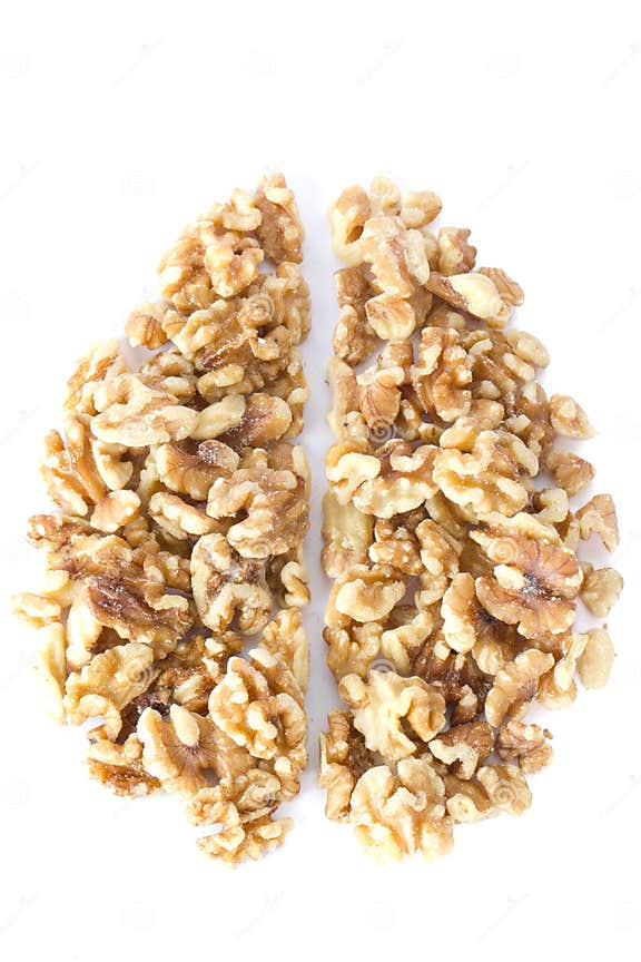Walnut Brain stock photo. Image of close, brown, brain - 36893062